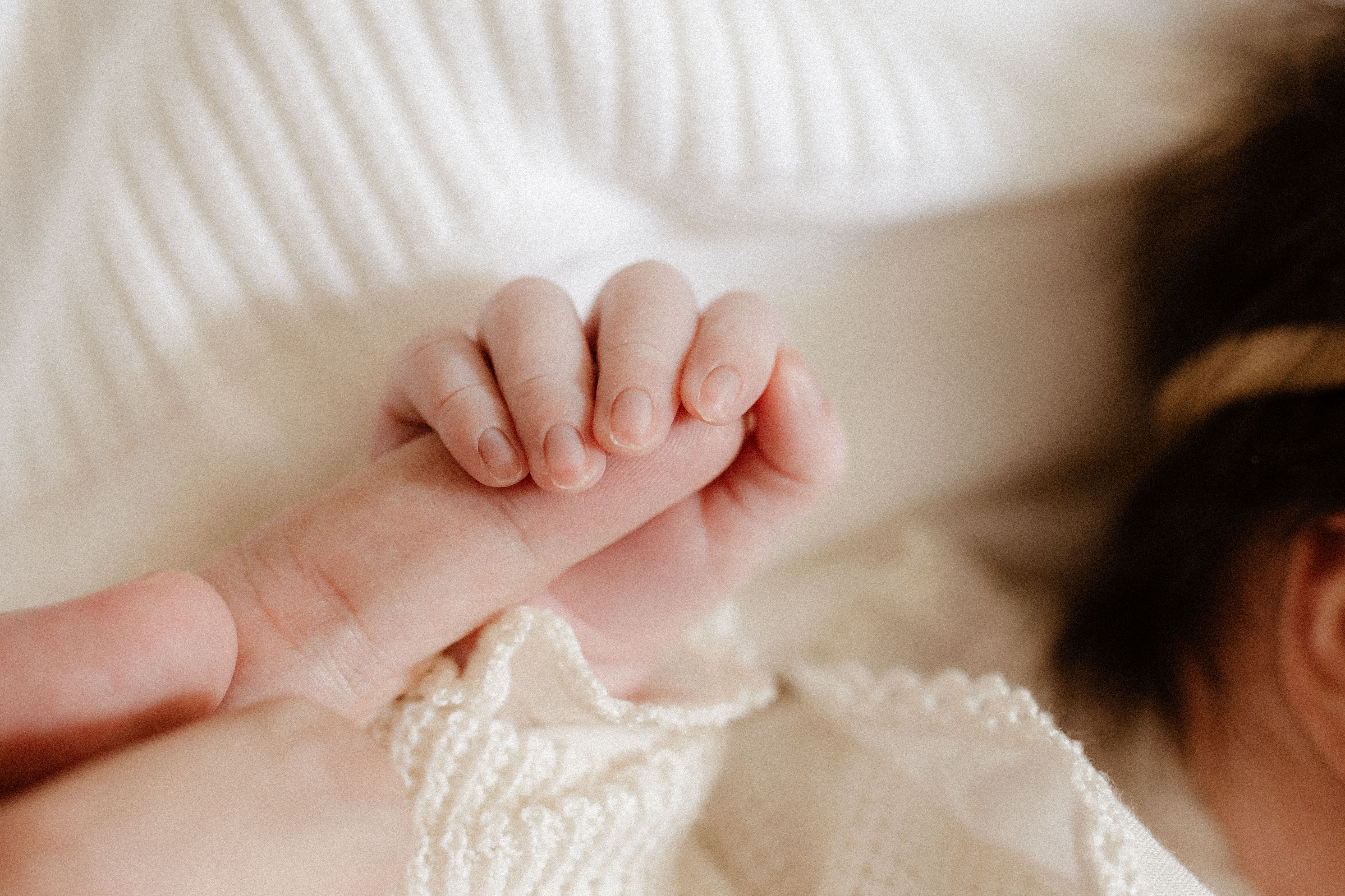 Baby Hand Holding Parent Finger · Free Stock Photo