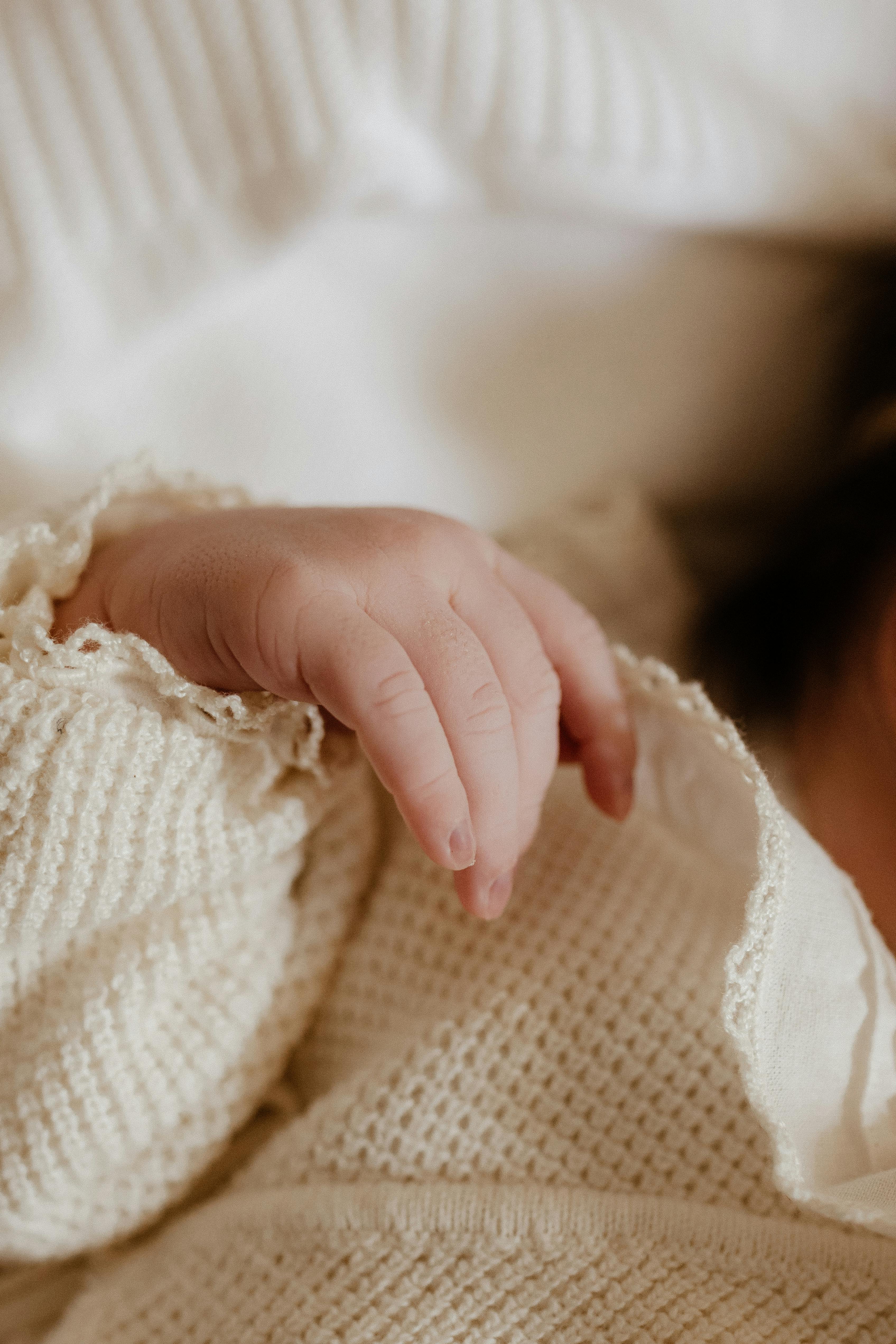 100.000+ melhores imagens de Bruine Hand Grove Hand · Download 100% ...