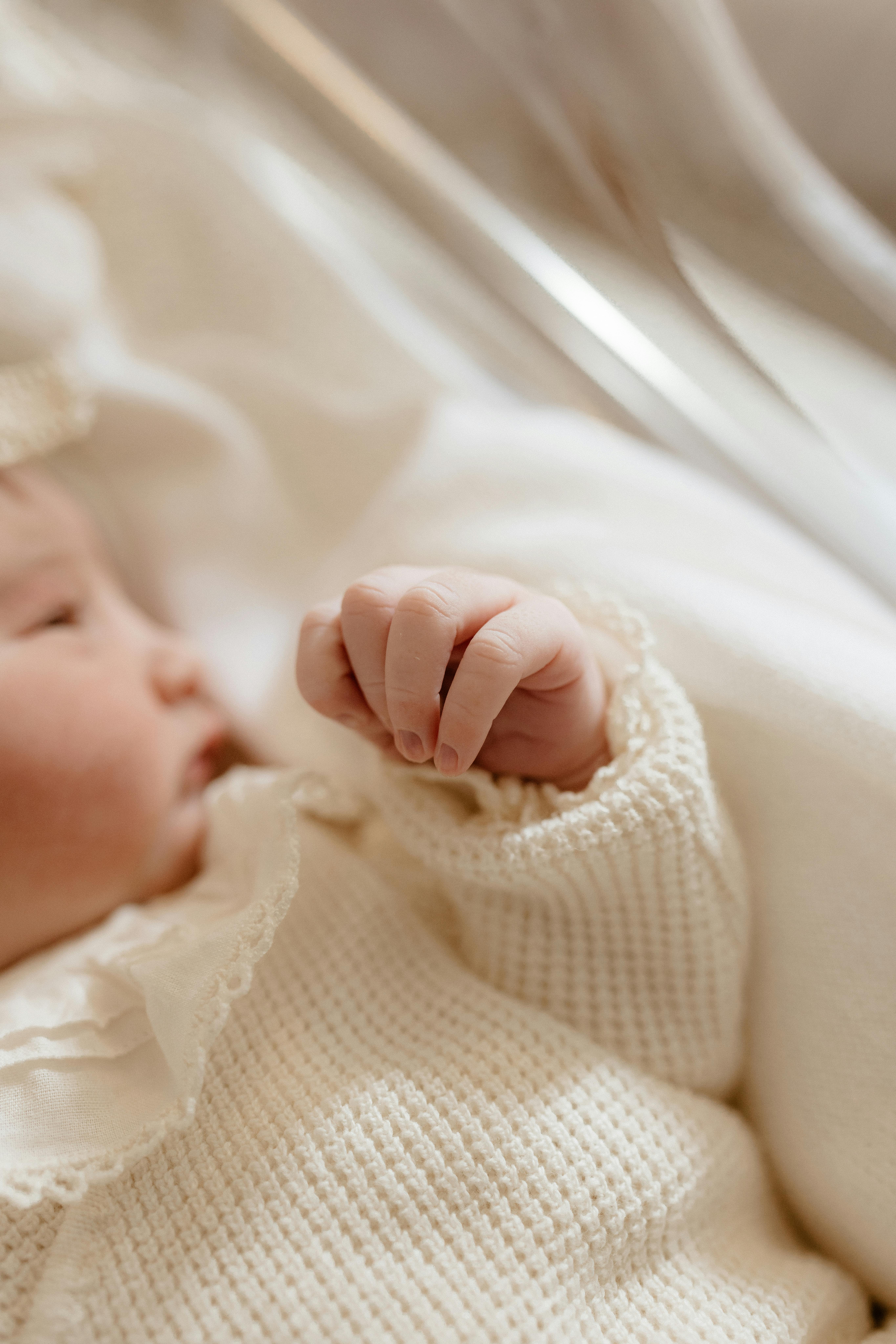 Foto profissional gratuita de gentil, acolhedor, afeto, amor, amoroso ...