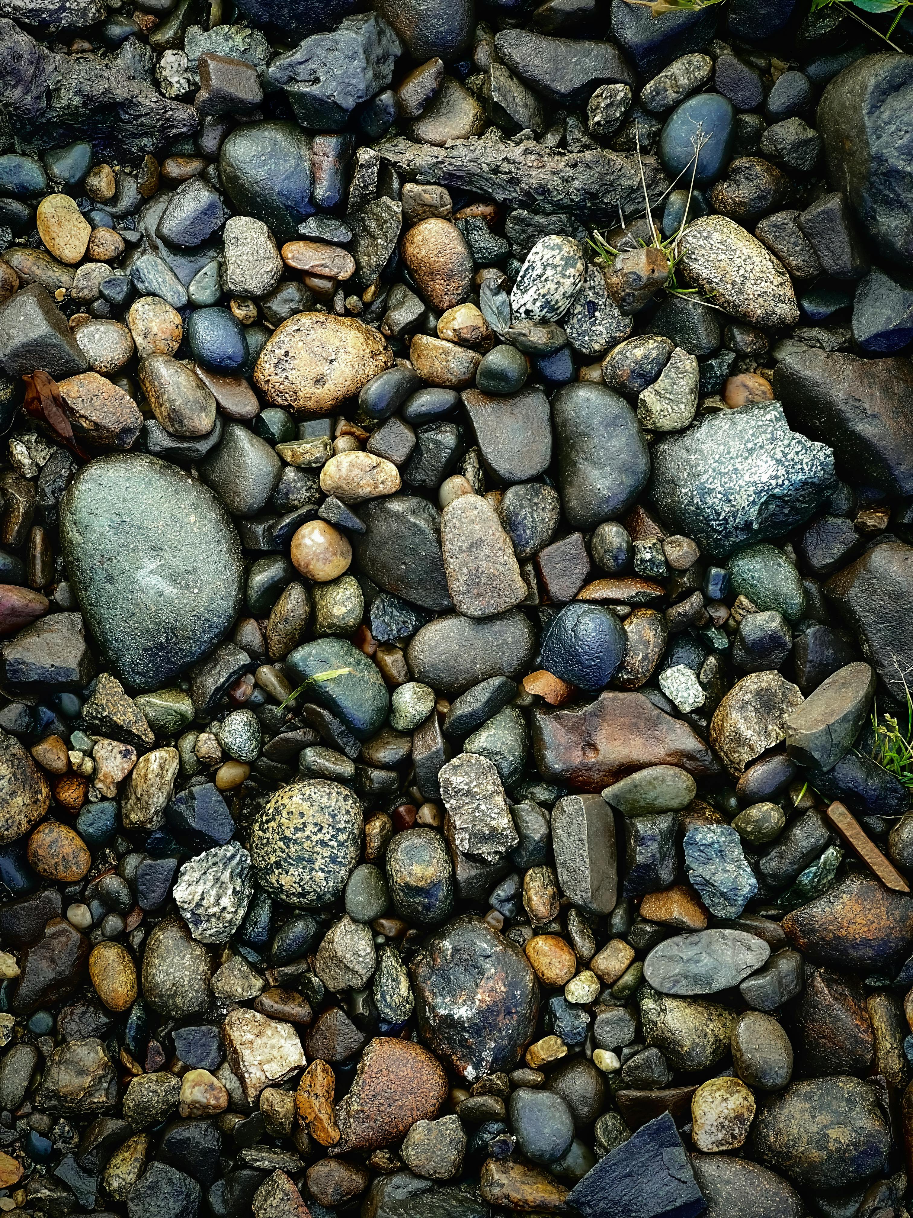 Stones on Ground · Free Stock Photo