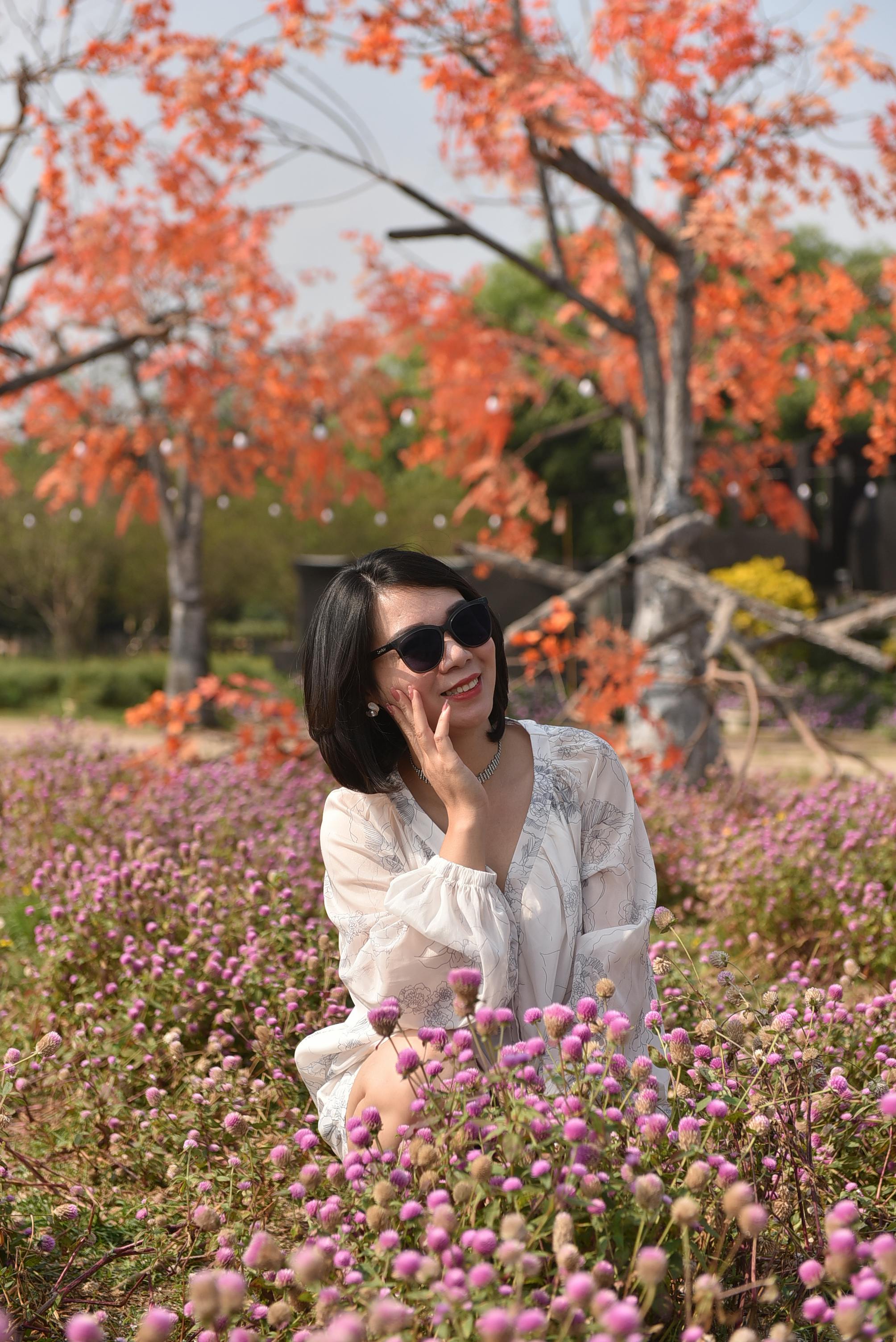 Woman Crouching among Pink Flowers · Free Stock Photo