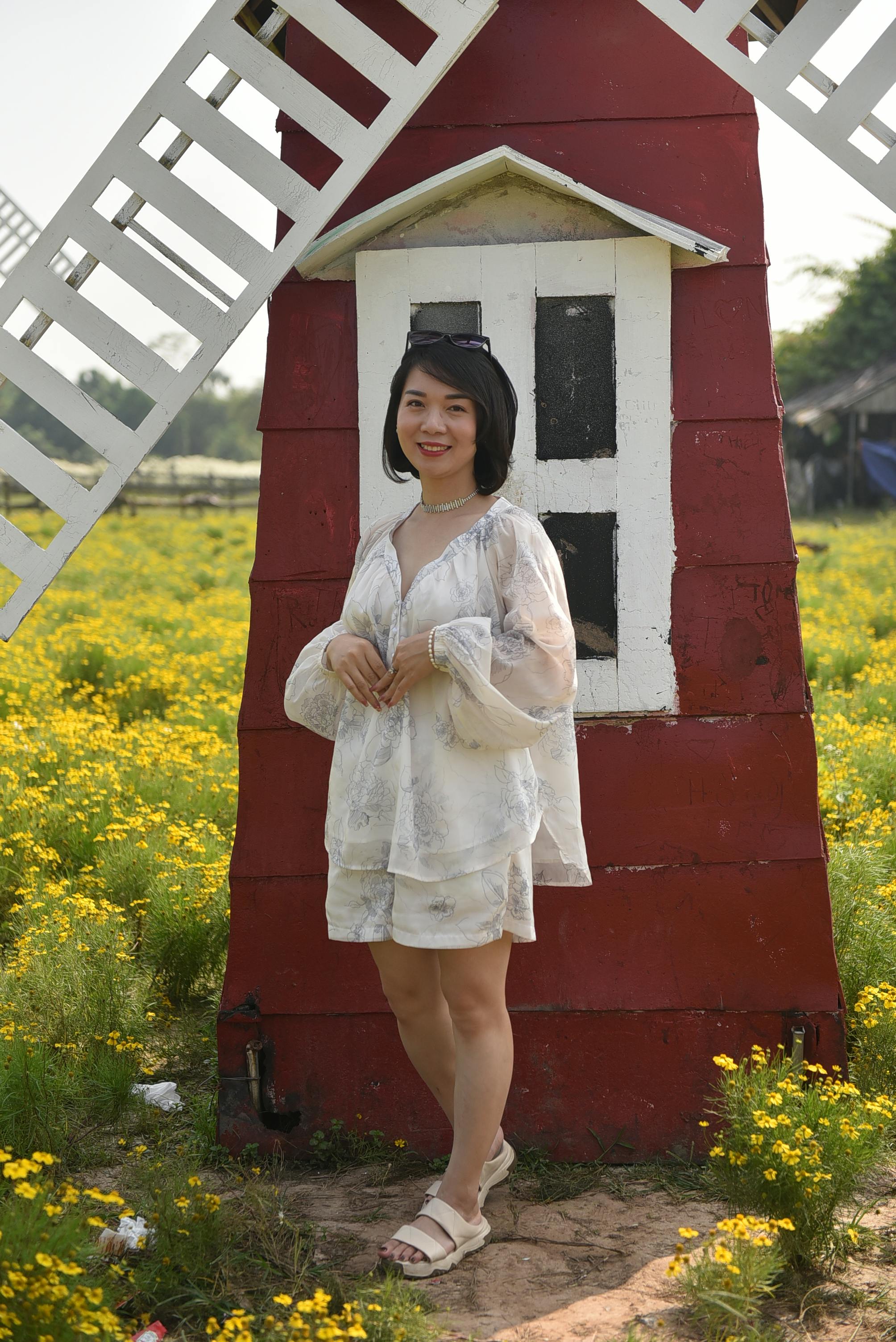 Miniature Plan Photos, Download The BEST Free Miniature Plan Stock ...