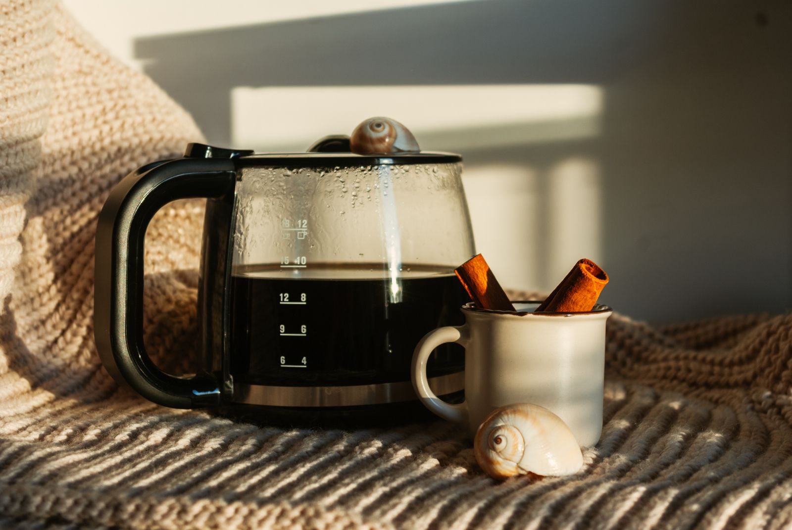 Black Pitcher Photos, Download The BEST Free Black Pitcher Stock Photos ...
