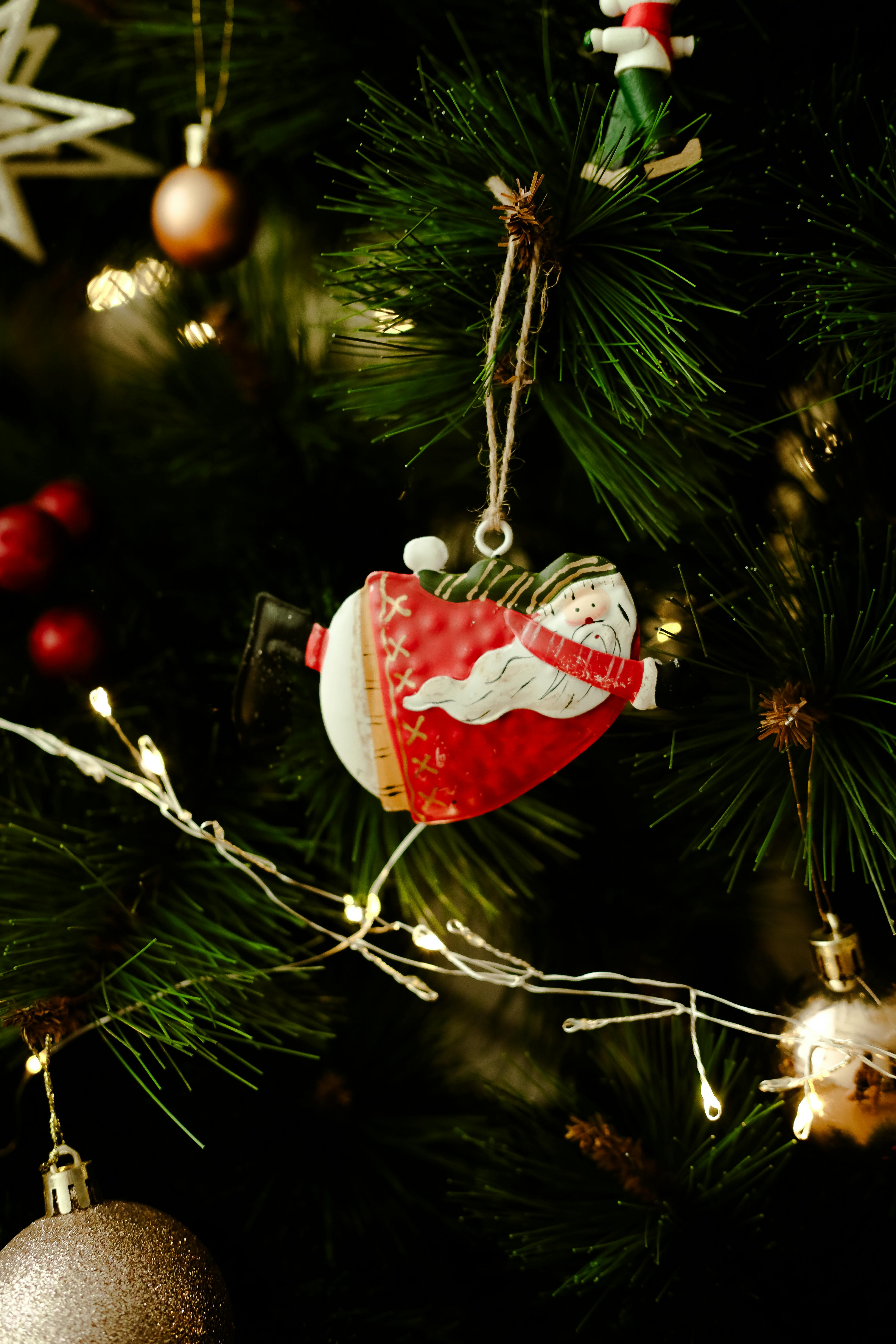 Santa Claus Bubble on a Christmas Tree Branch · Free Stock Photo