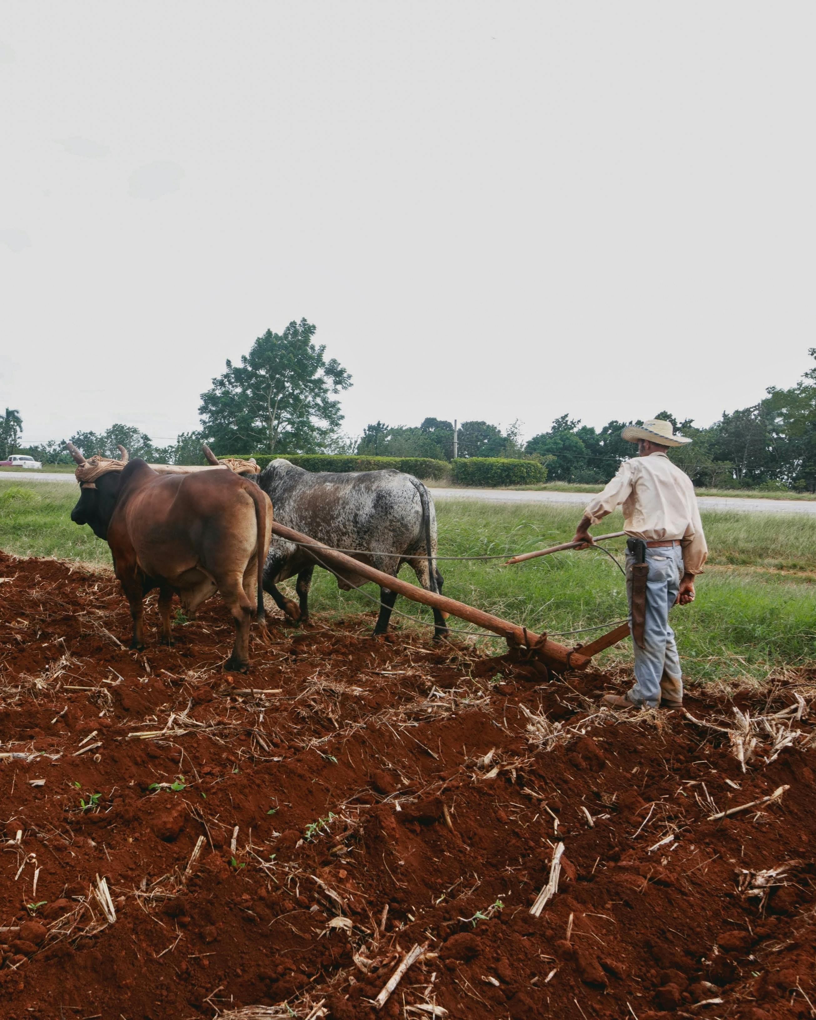 Grayscale Photo of Three Men Plowing Field · Free Stock Photo