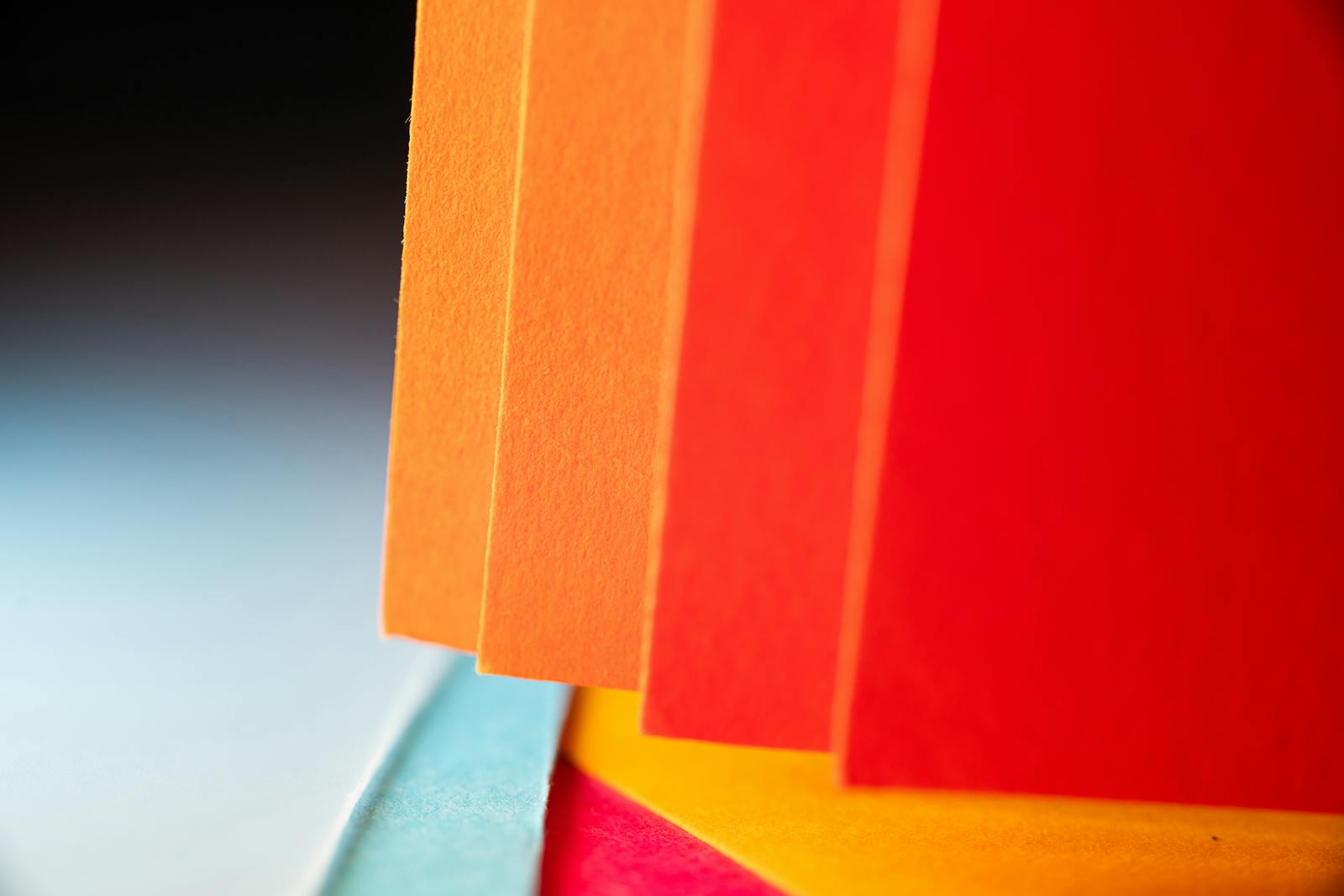 Composition Photos, Download The BEST Free Composition Stock Photos ...