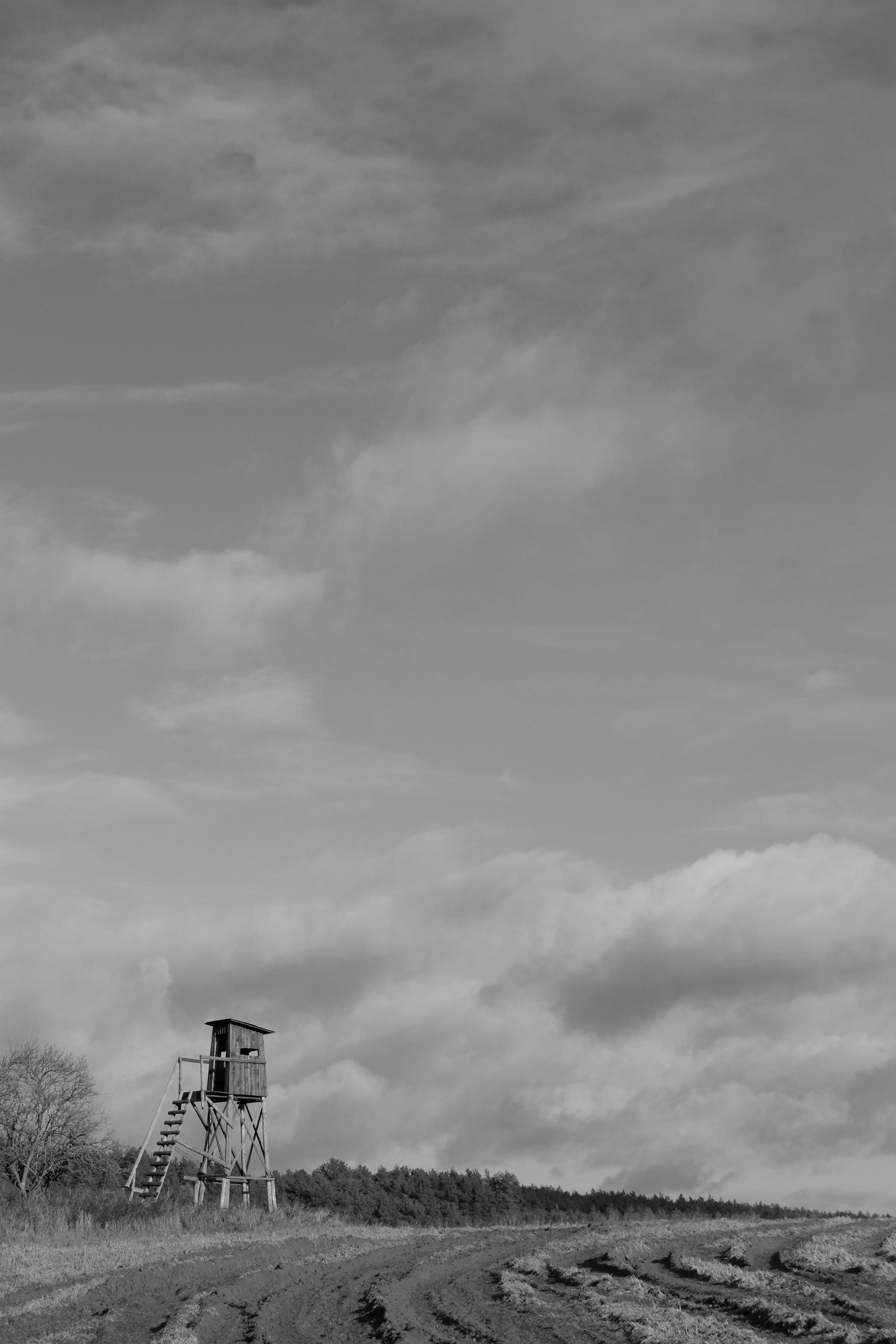 Plain Baground Photos, Download The BEST Free Plain Baground Stock ...