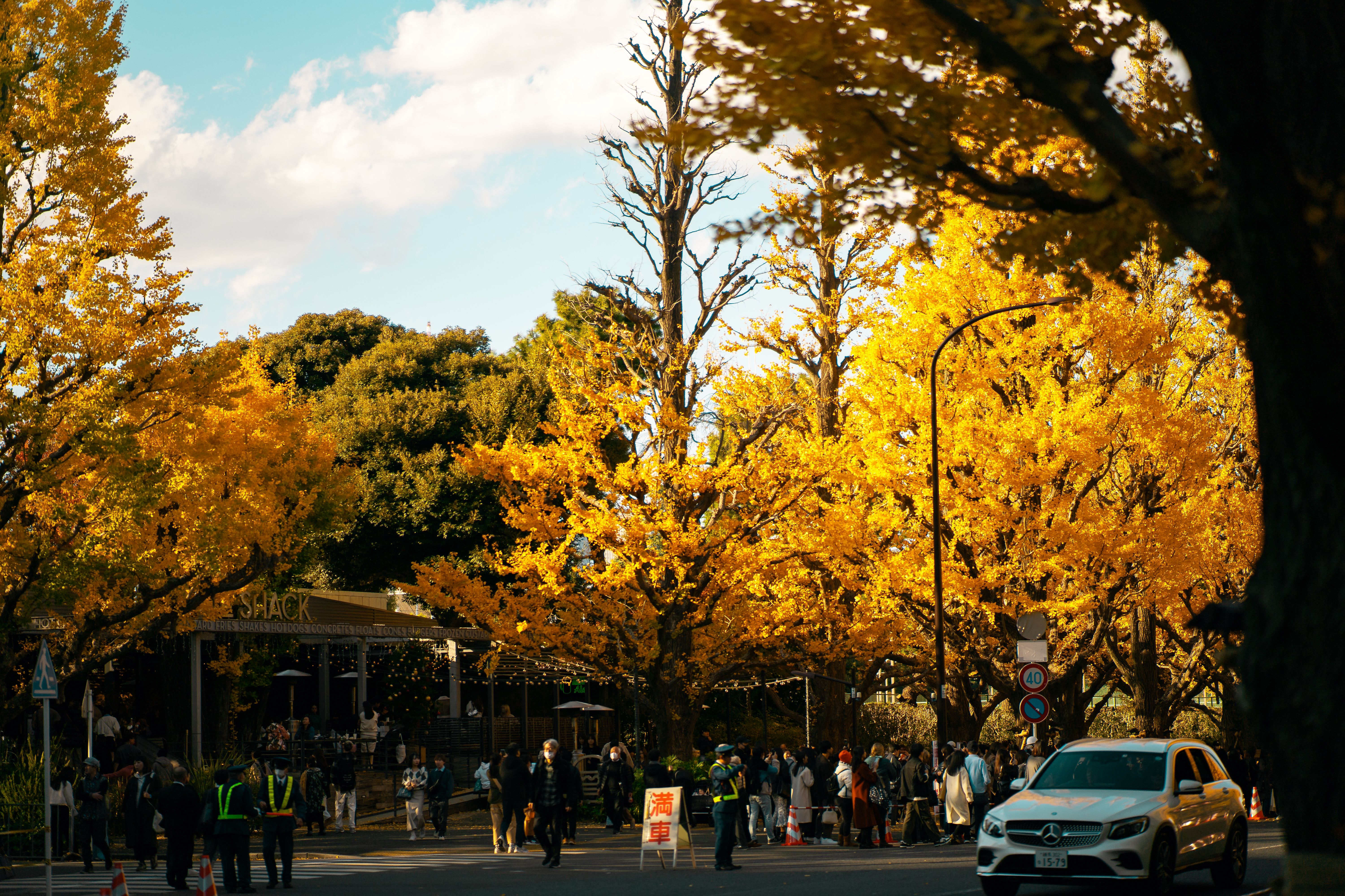 An Autumn Street in a City · Free Stock Photo