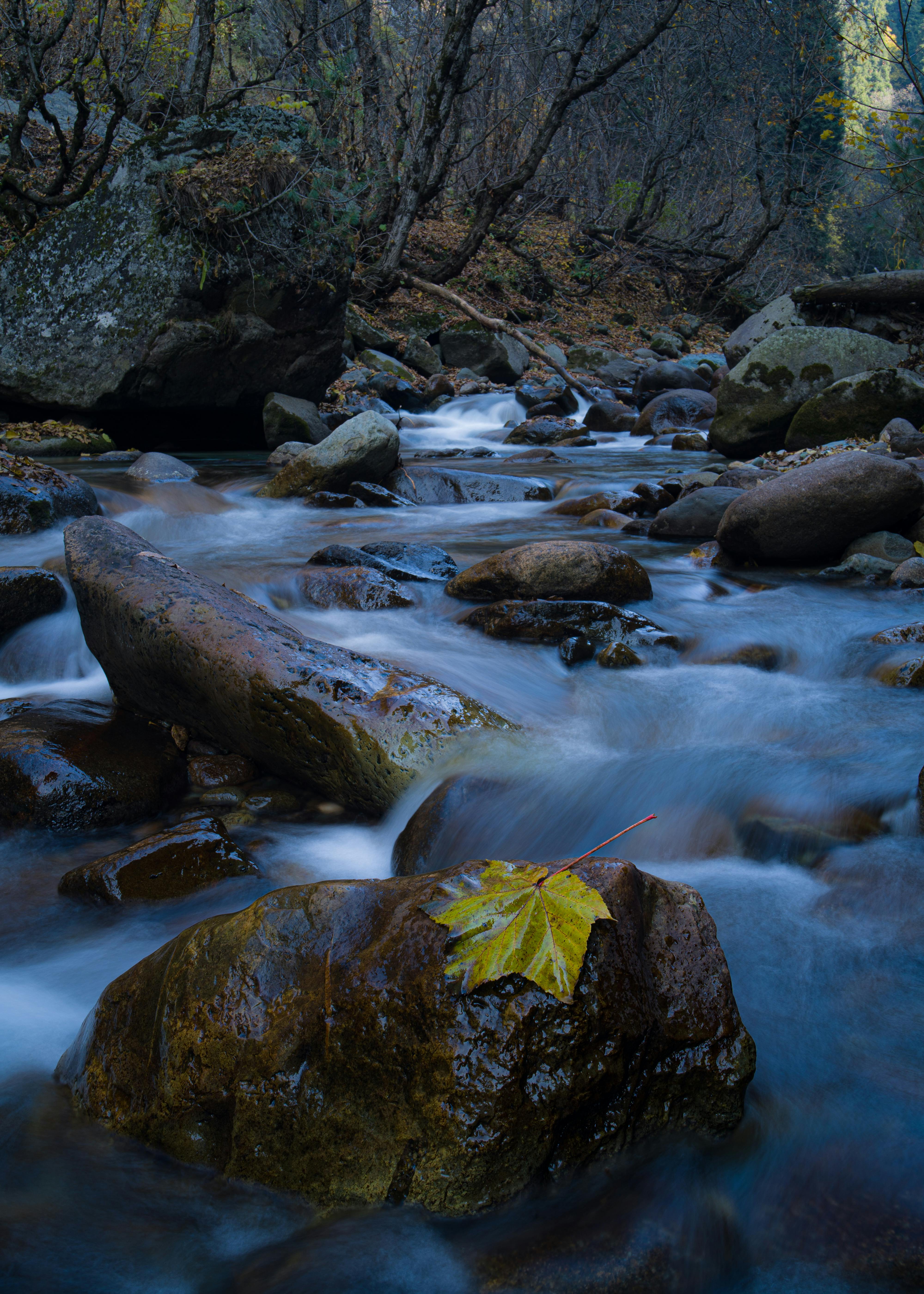 Rocks on Stream · Free Stock Photo