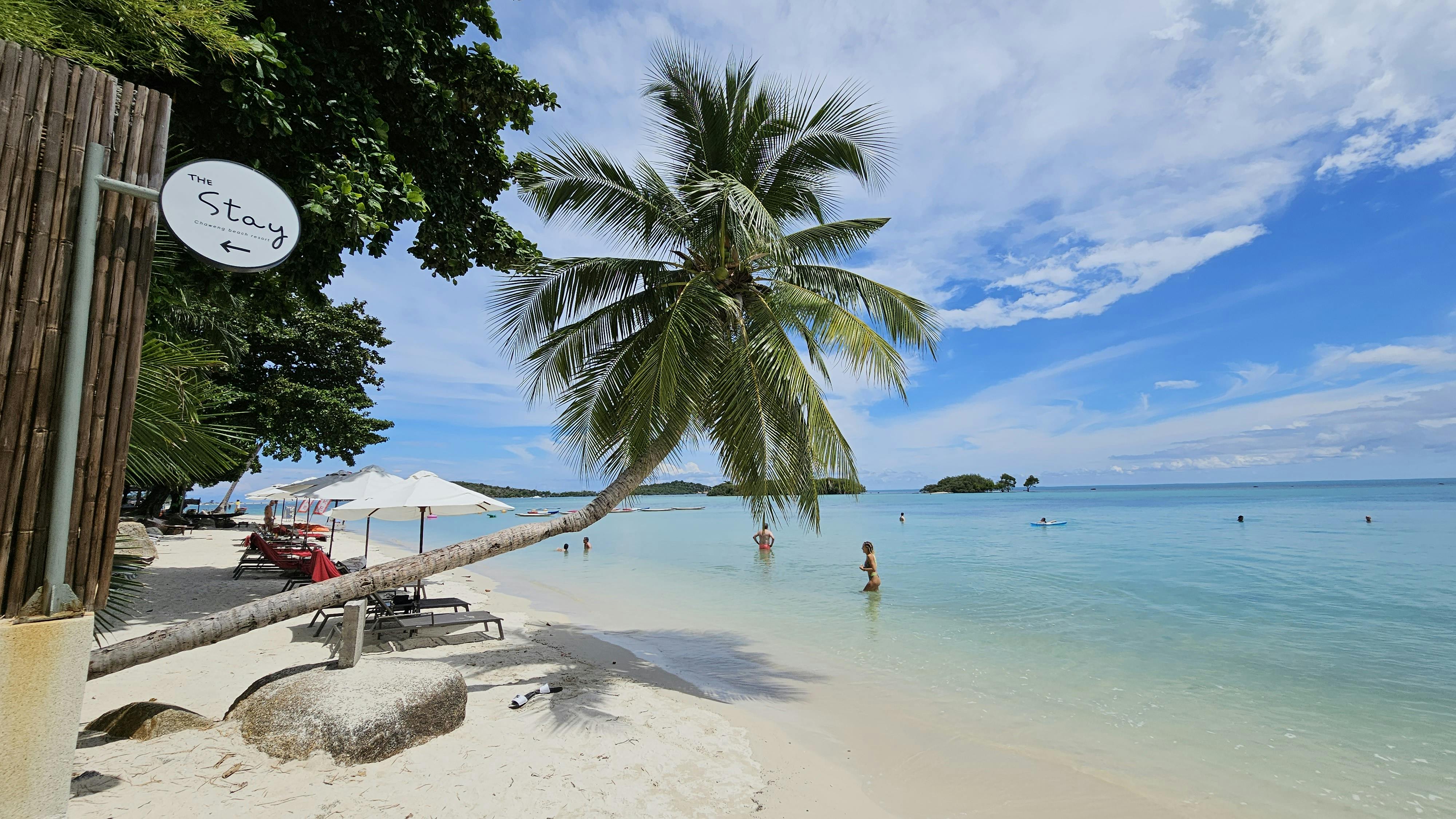 Daniel Furrer - 攝影