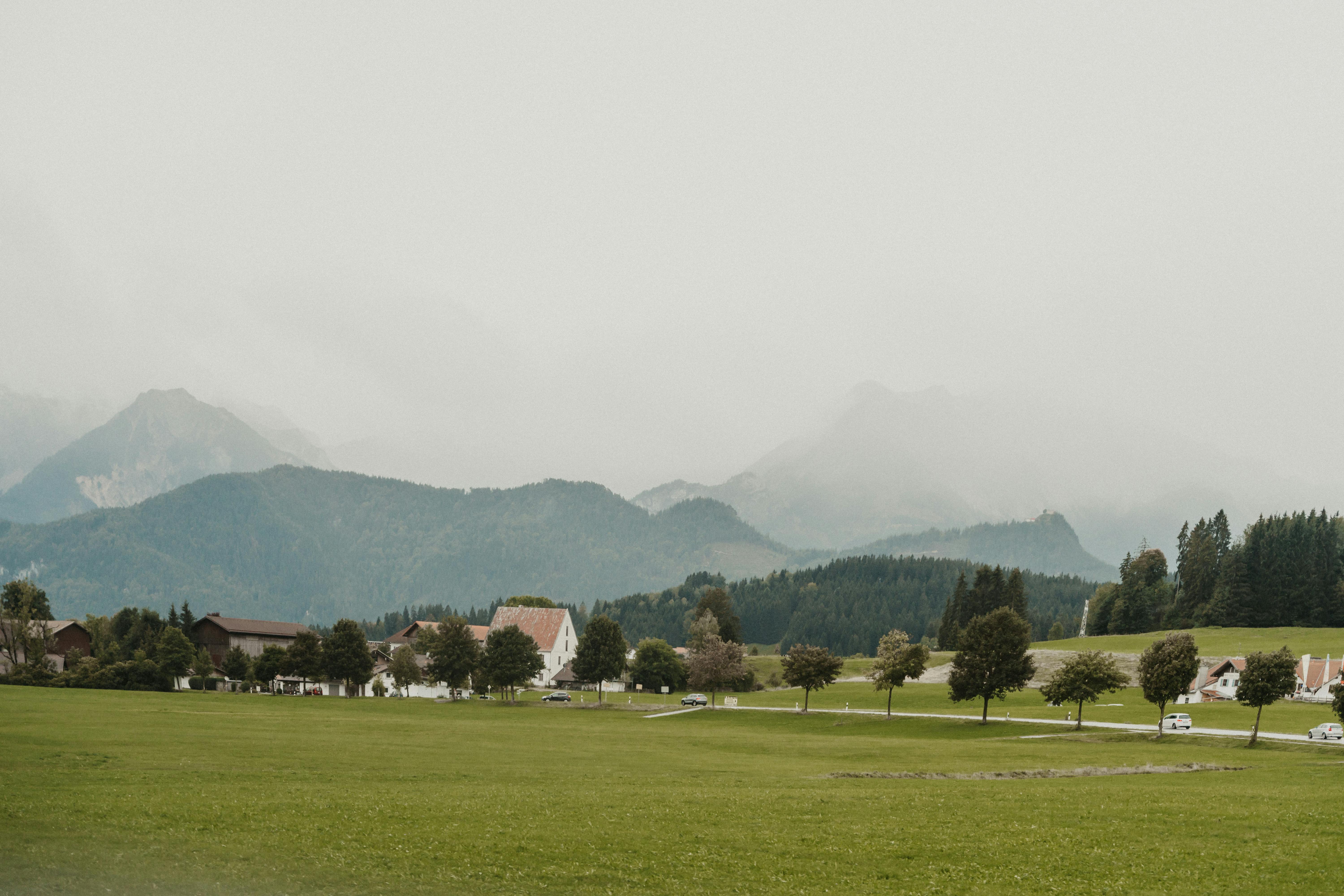 Green Alley with Trees · Free Stock Photo