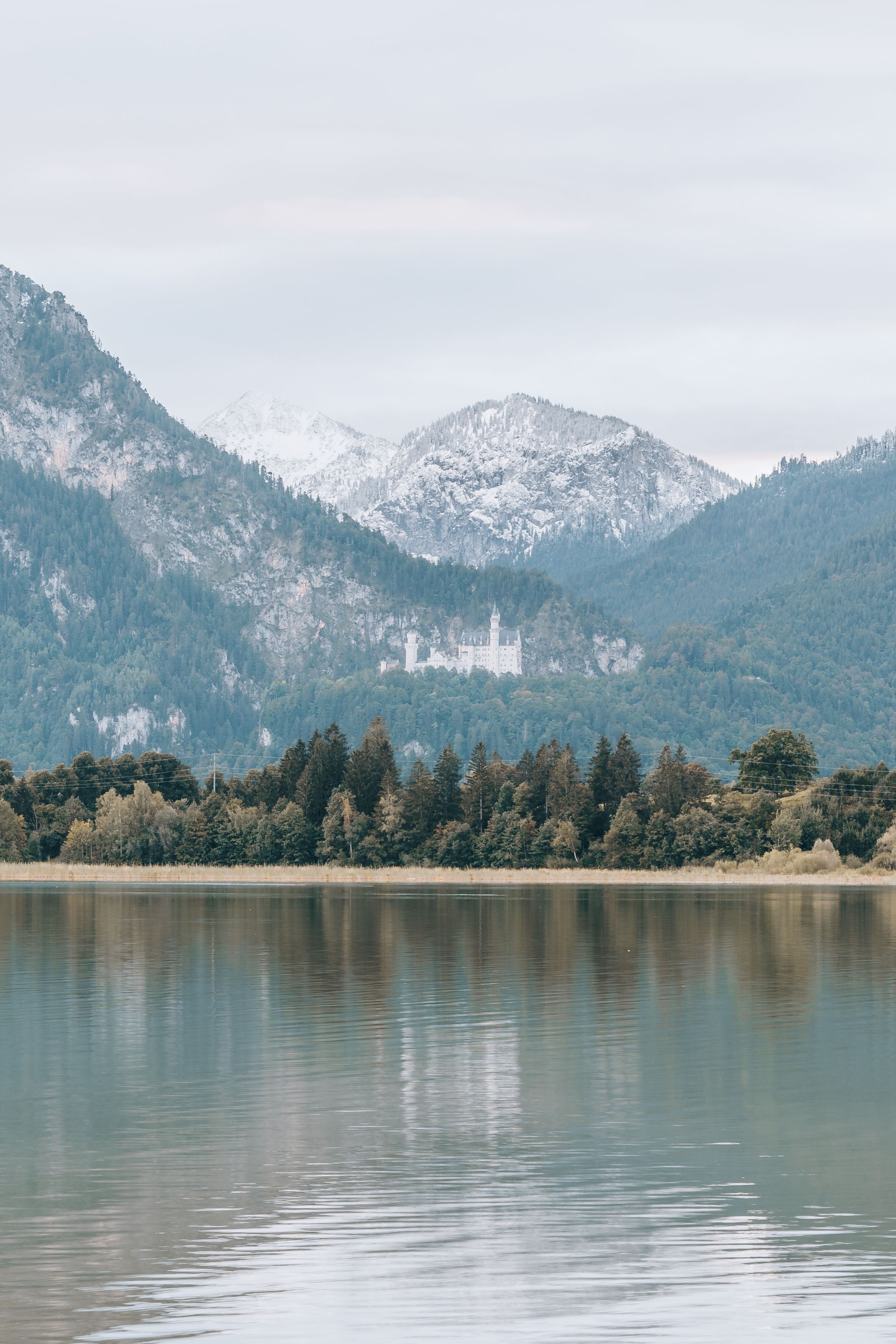 Trees on Lakeside by Rocky Mountain · Free Stock Photo