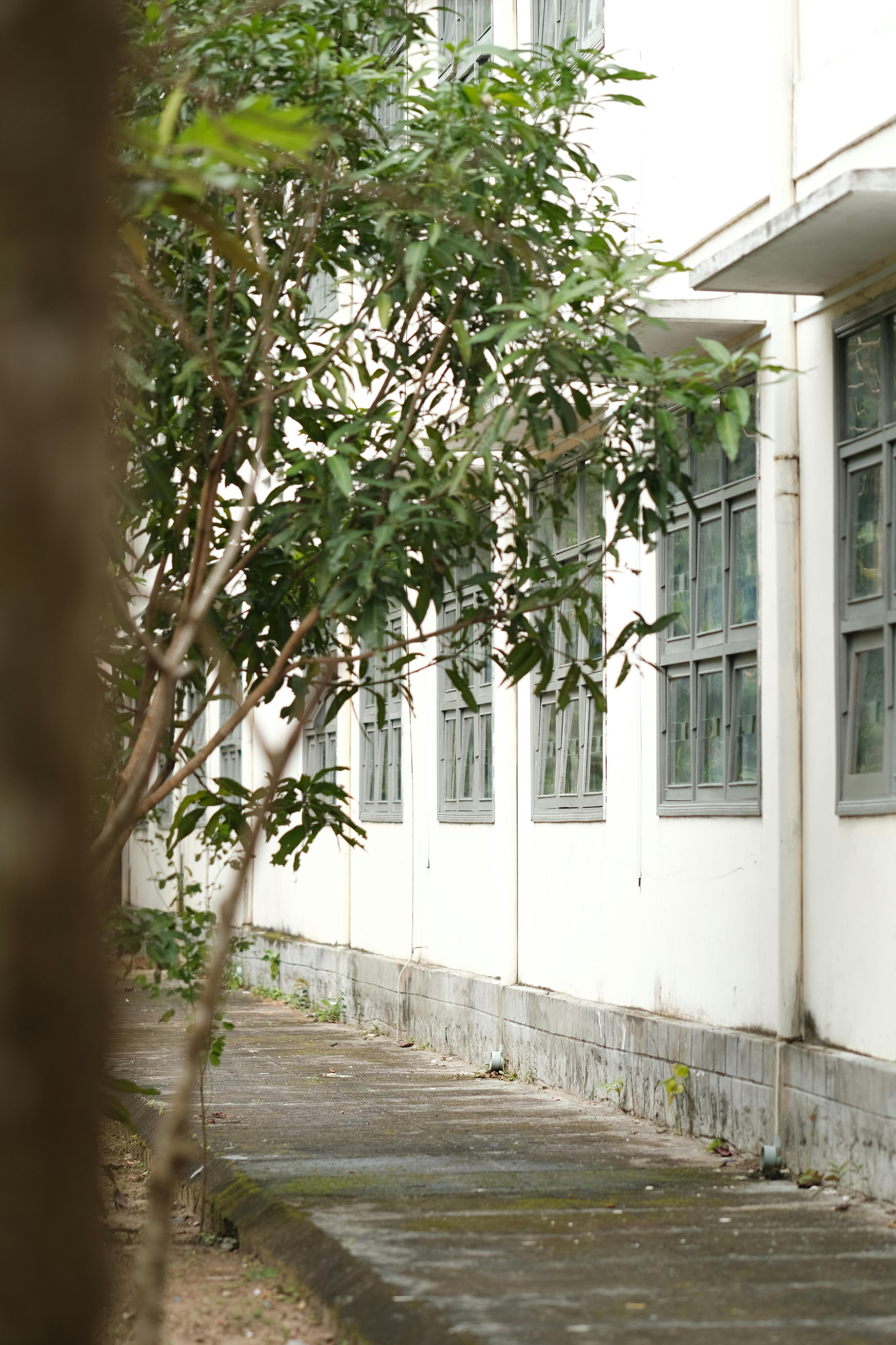 A Pavement along the Building in City · Free Stock Photo