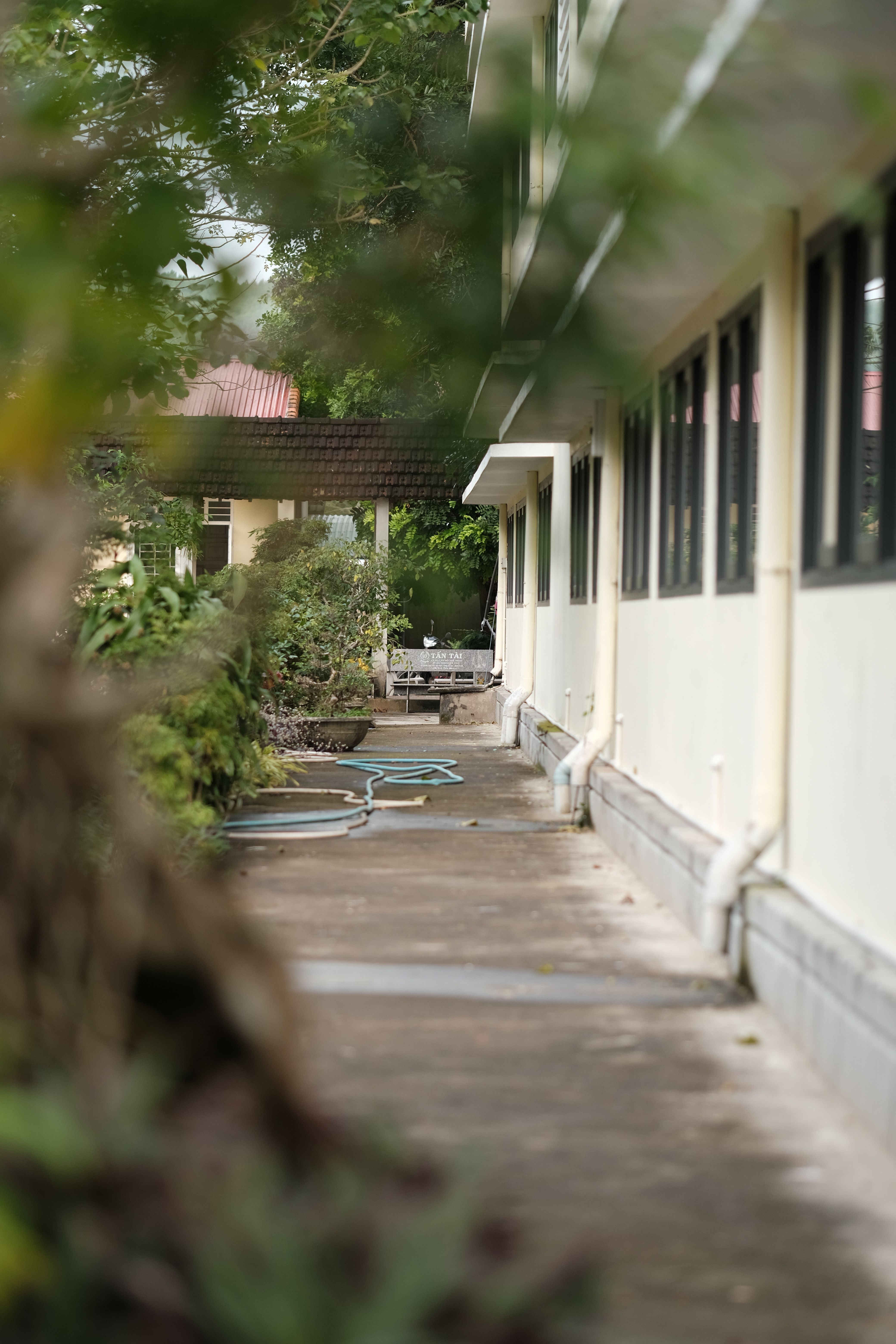 Garden Outside a Building · Free Stock Photo