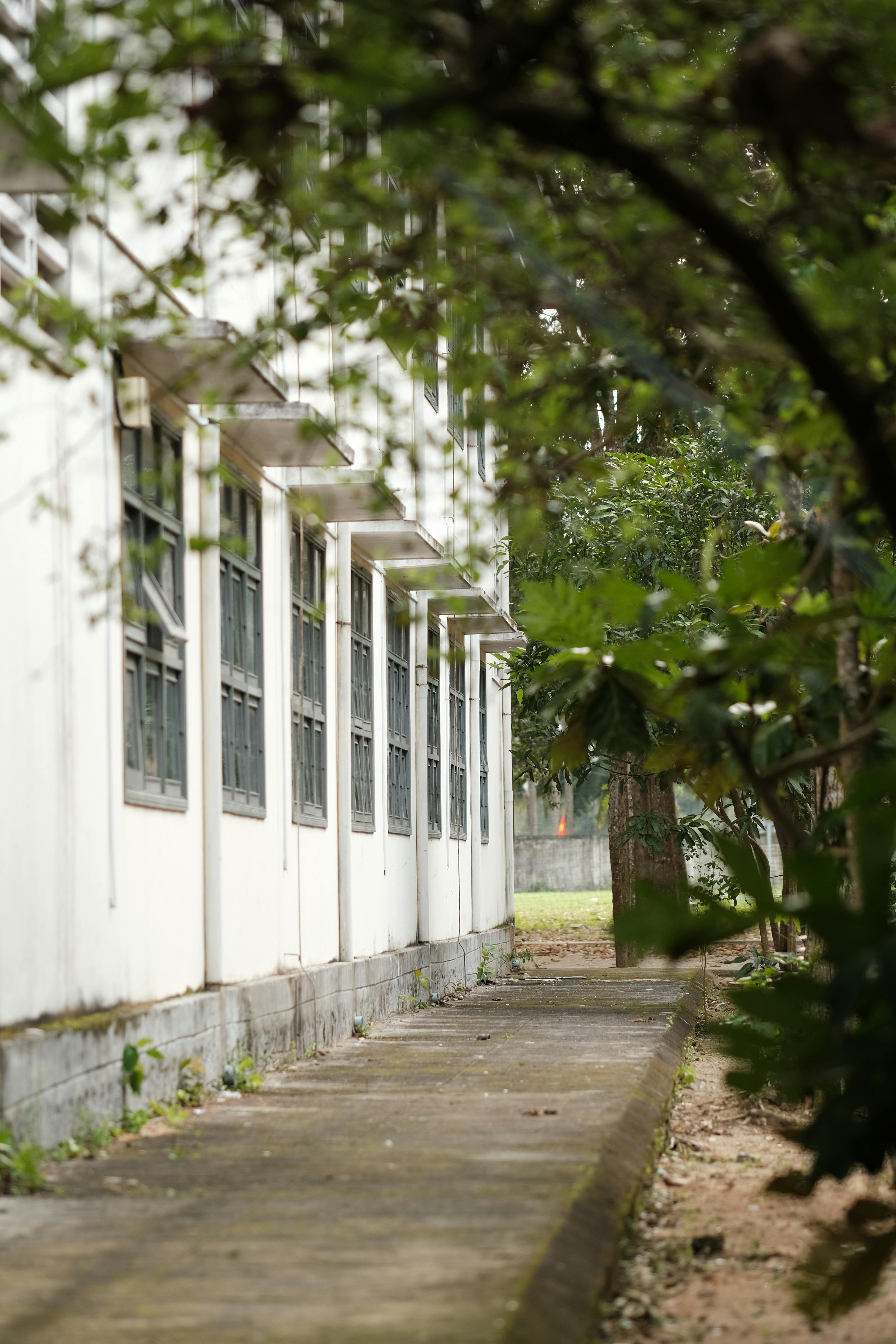 Trees and Pavement outside a Building · Free Stock Photo