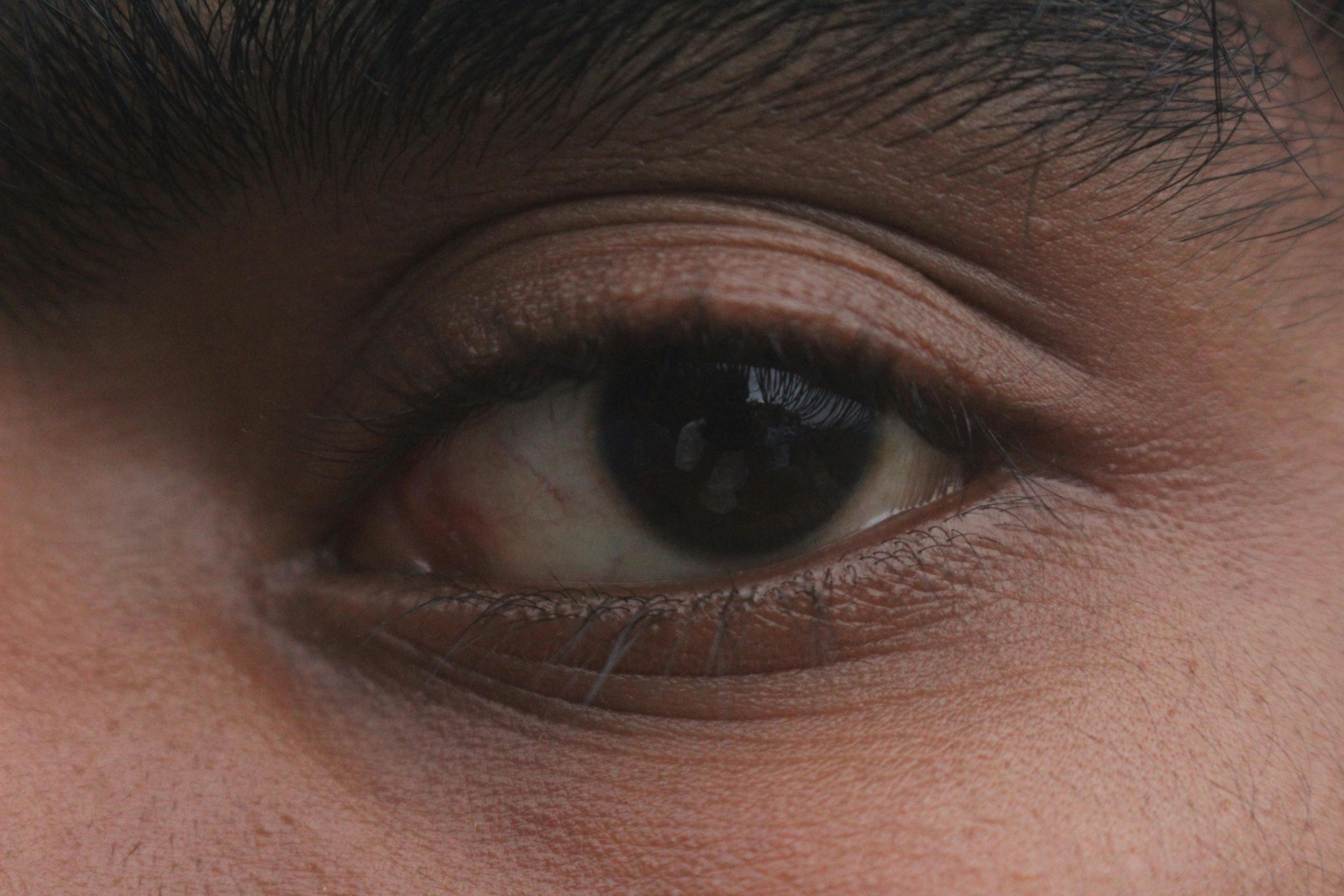 eyes · Free Stock Photo