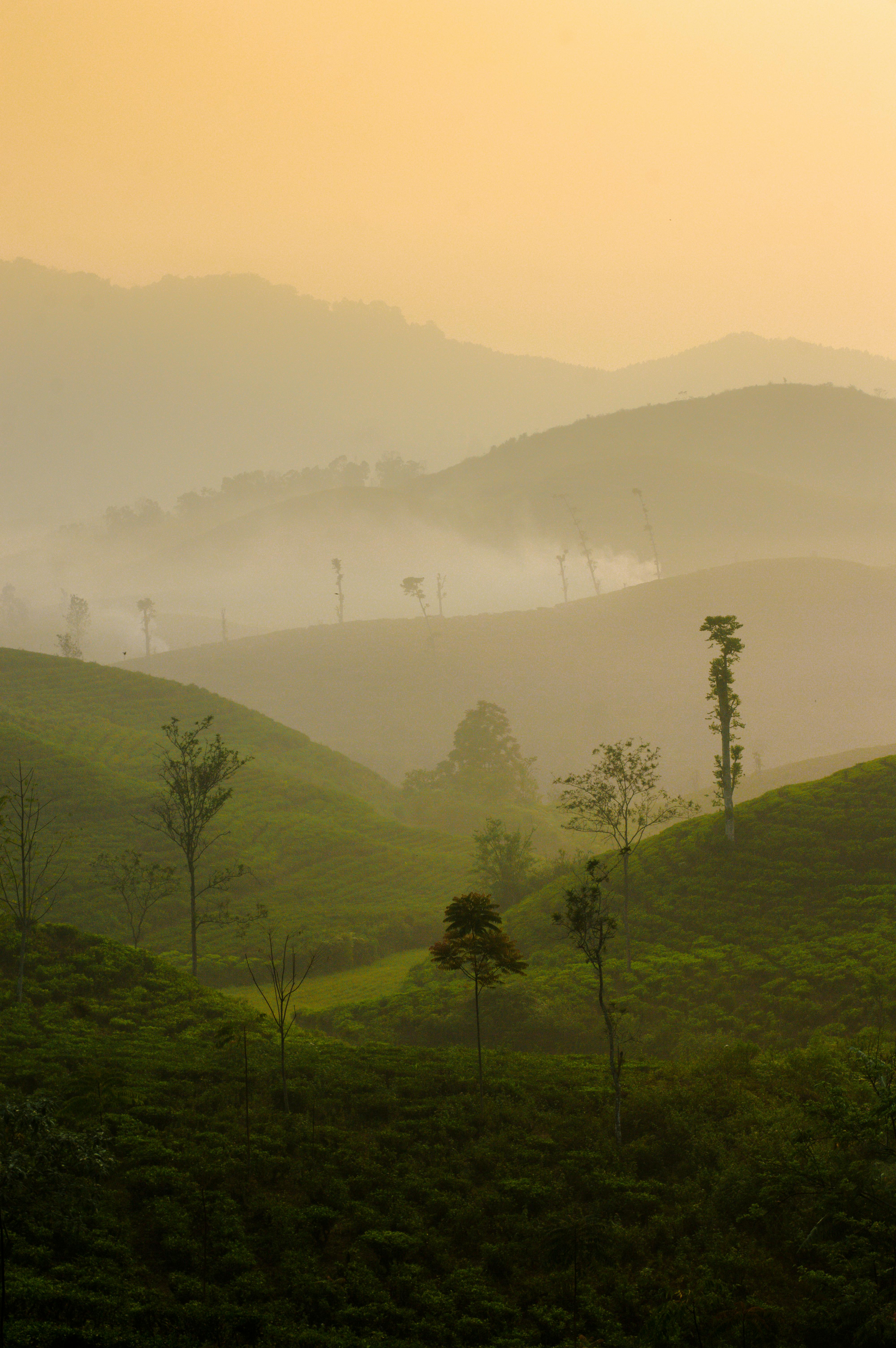 Green Countryside Landscape at Sunset · Free Stock Photo