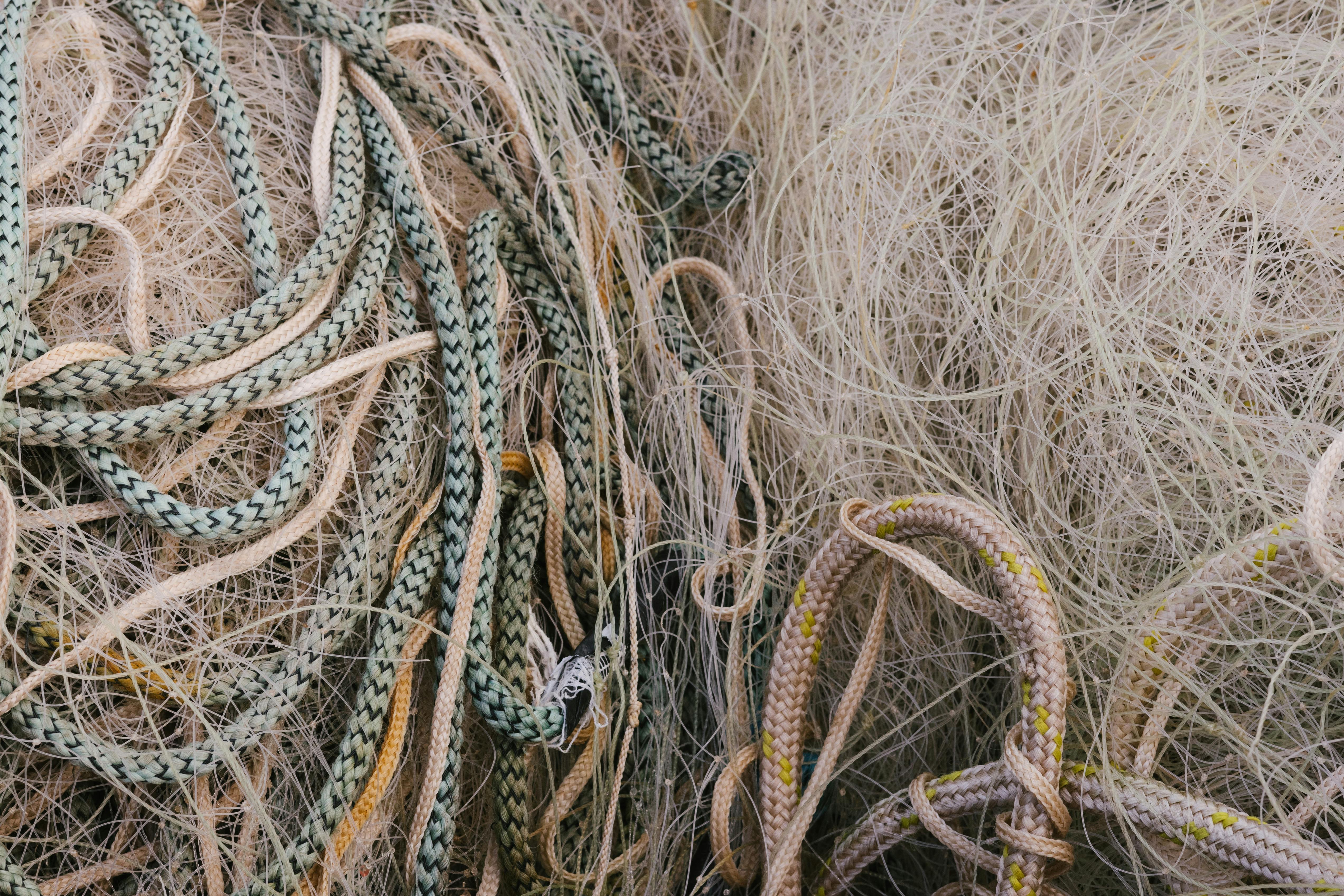 Ropes on Hay · Free Stock Photo