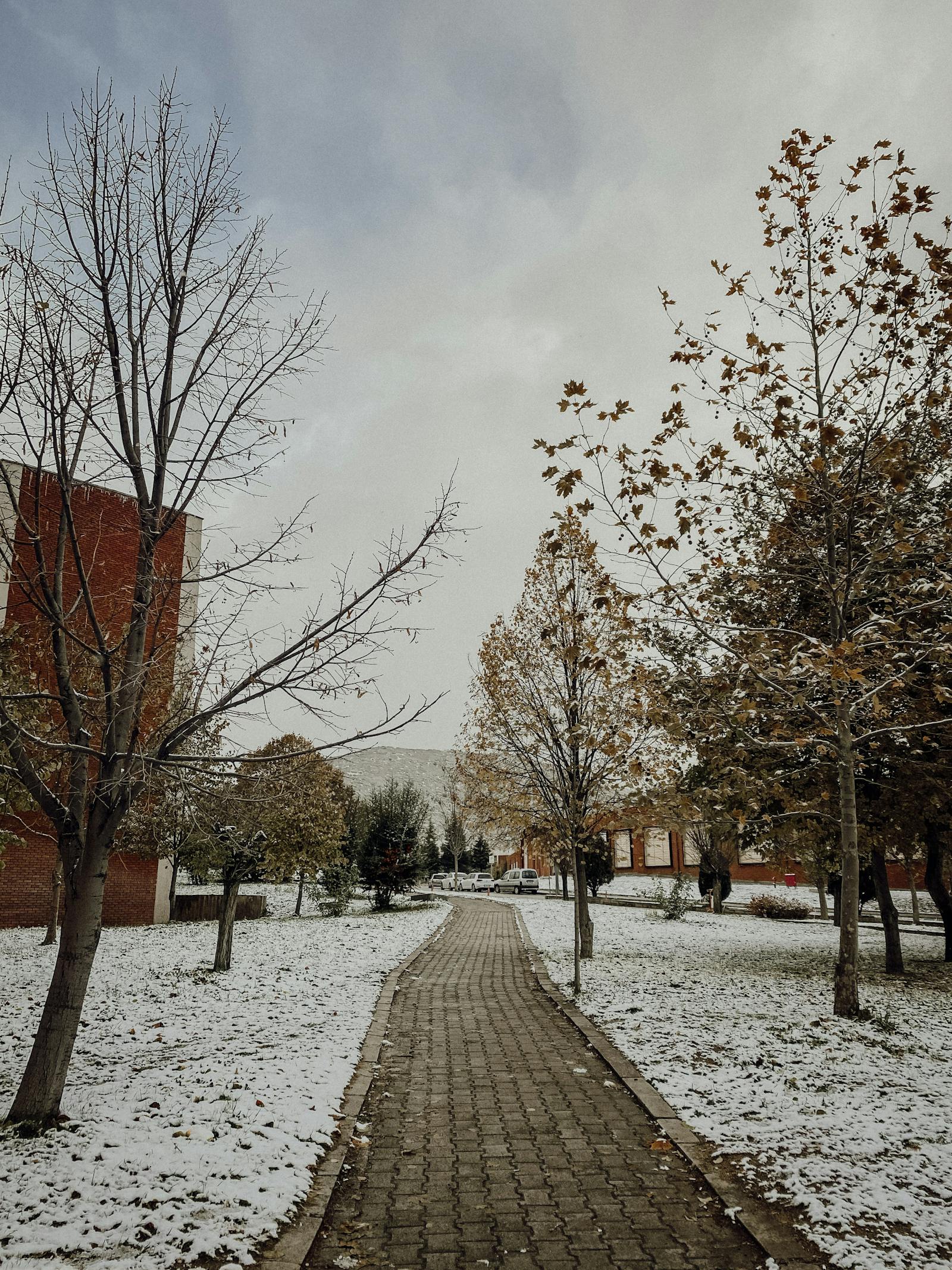 Icey Path Photos, Download The BEST Free Icey Path Stock Photos & HD Images