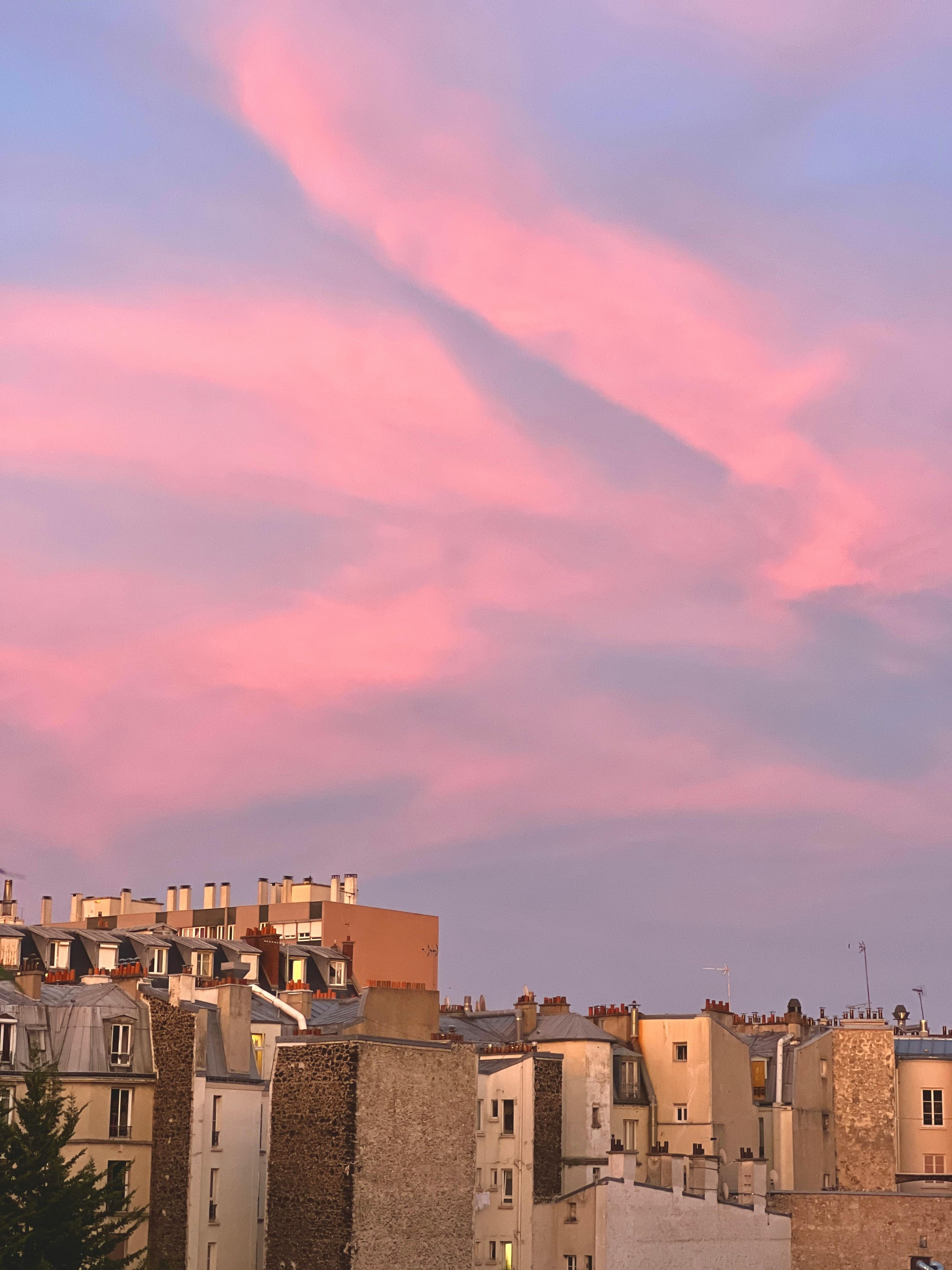 Pink Hazard Photos, Download The BEST Free Pink Hazard Stock Photos ...