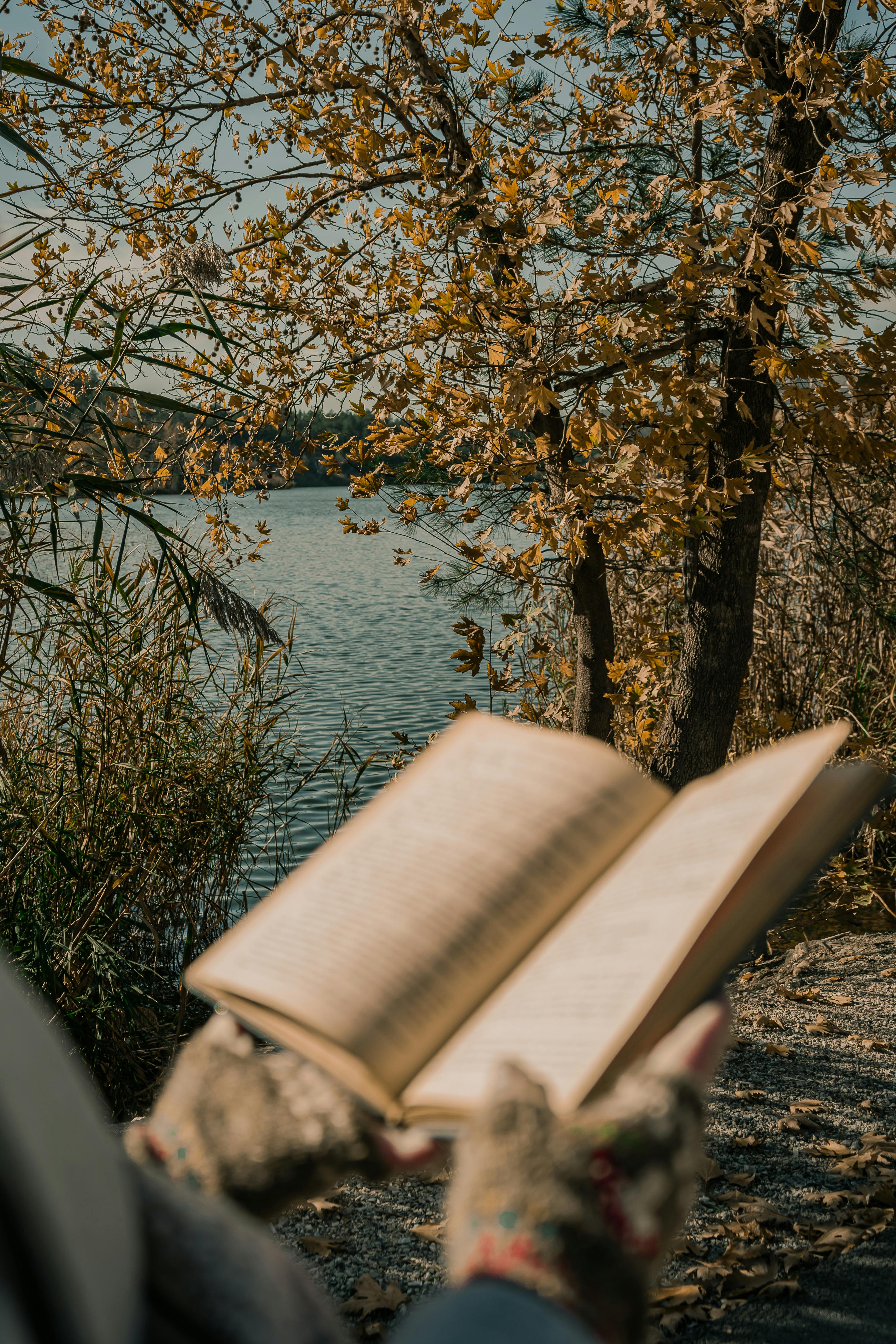 Woman Reading a Book by the Lake · Free Stock Photo