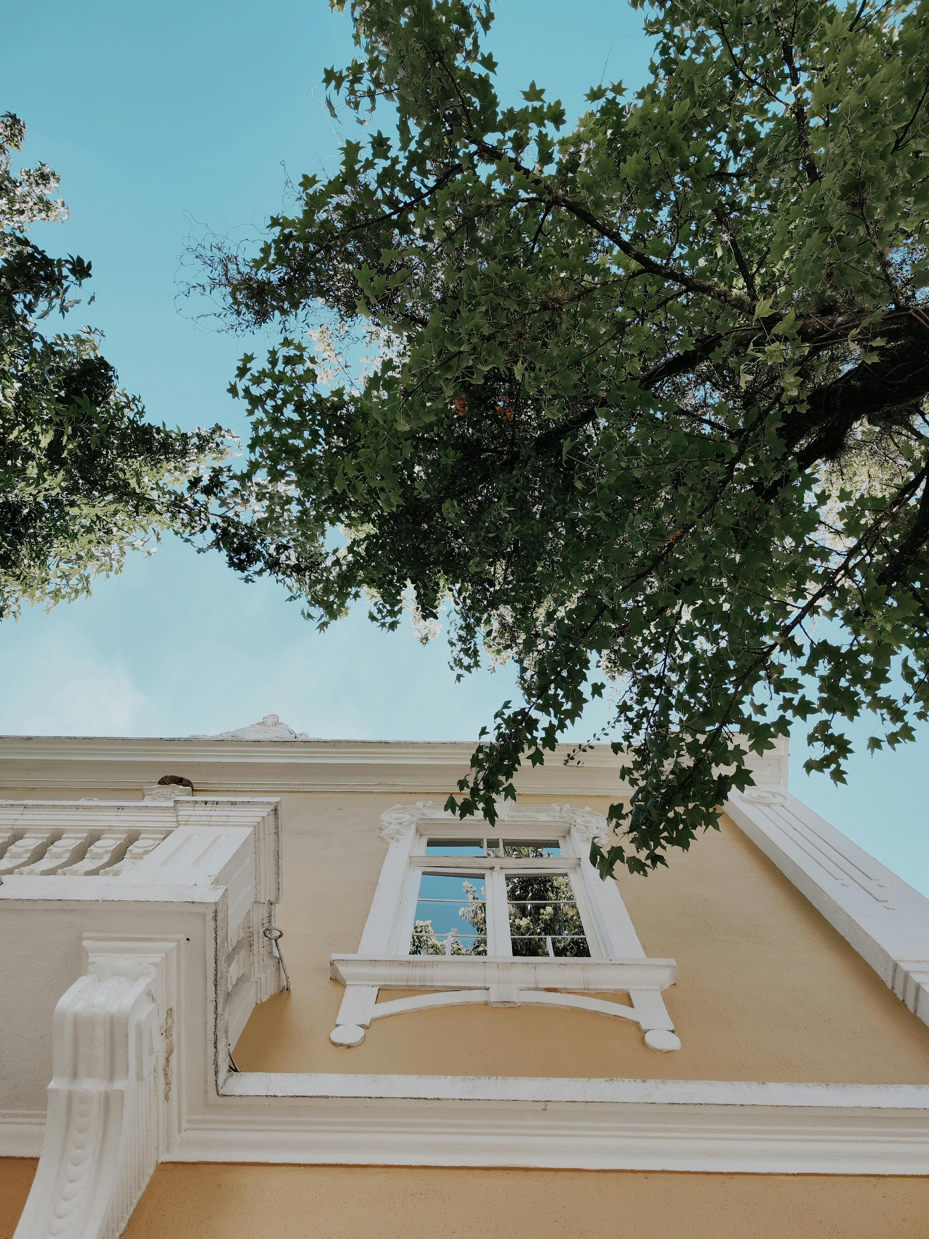 House Window Photos, Download The BEST Free House Window Stock Photos ...