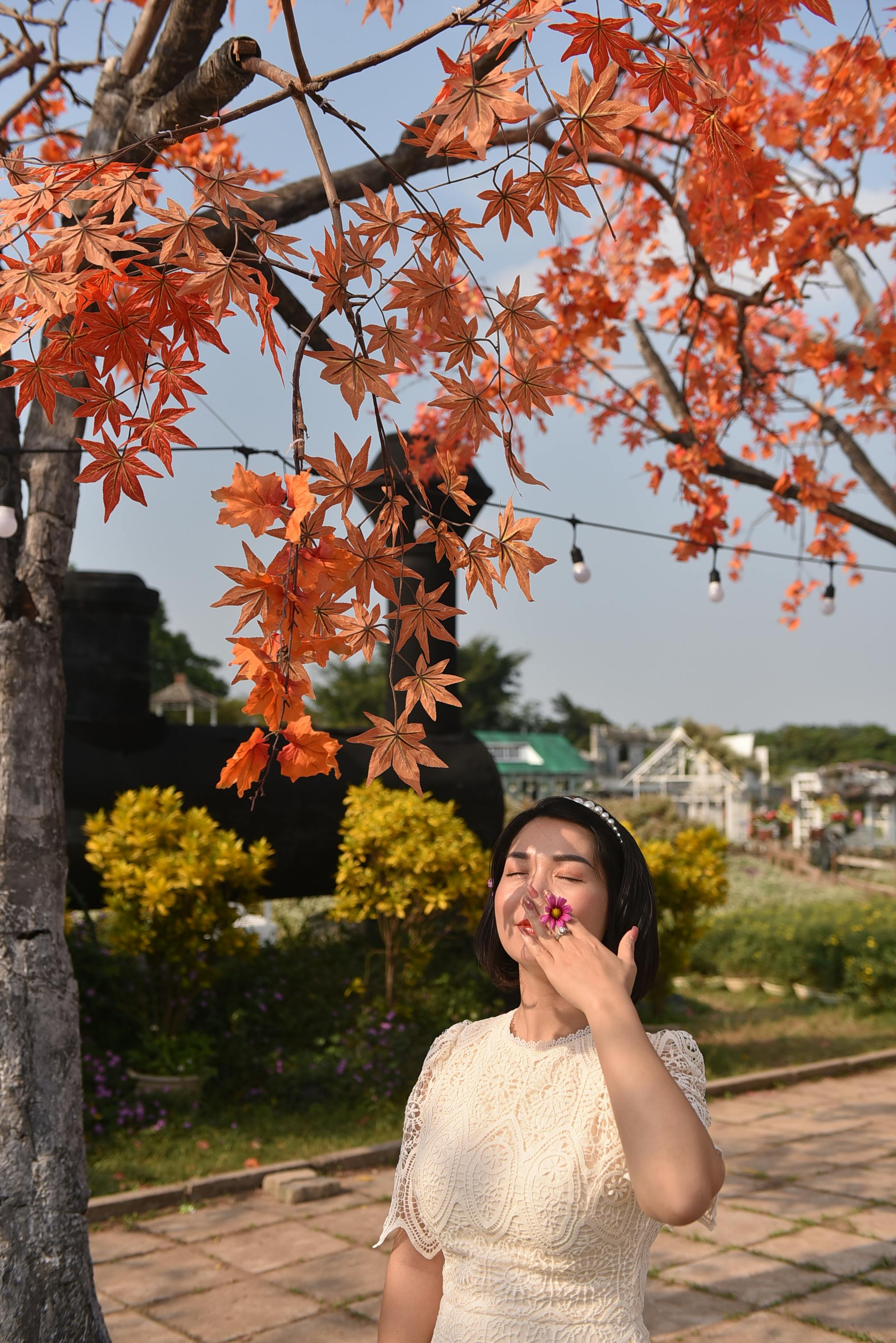 Maple Bucket Photos, Download The BEST Free Maple Bucket Stock Photos ...