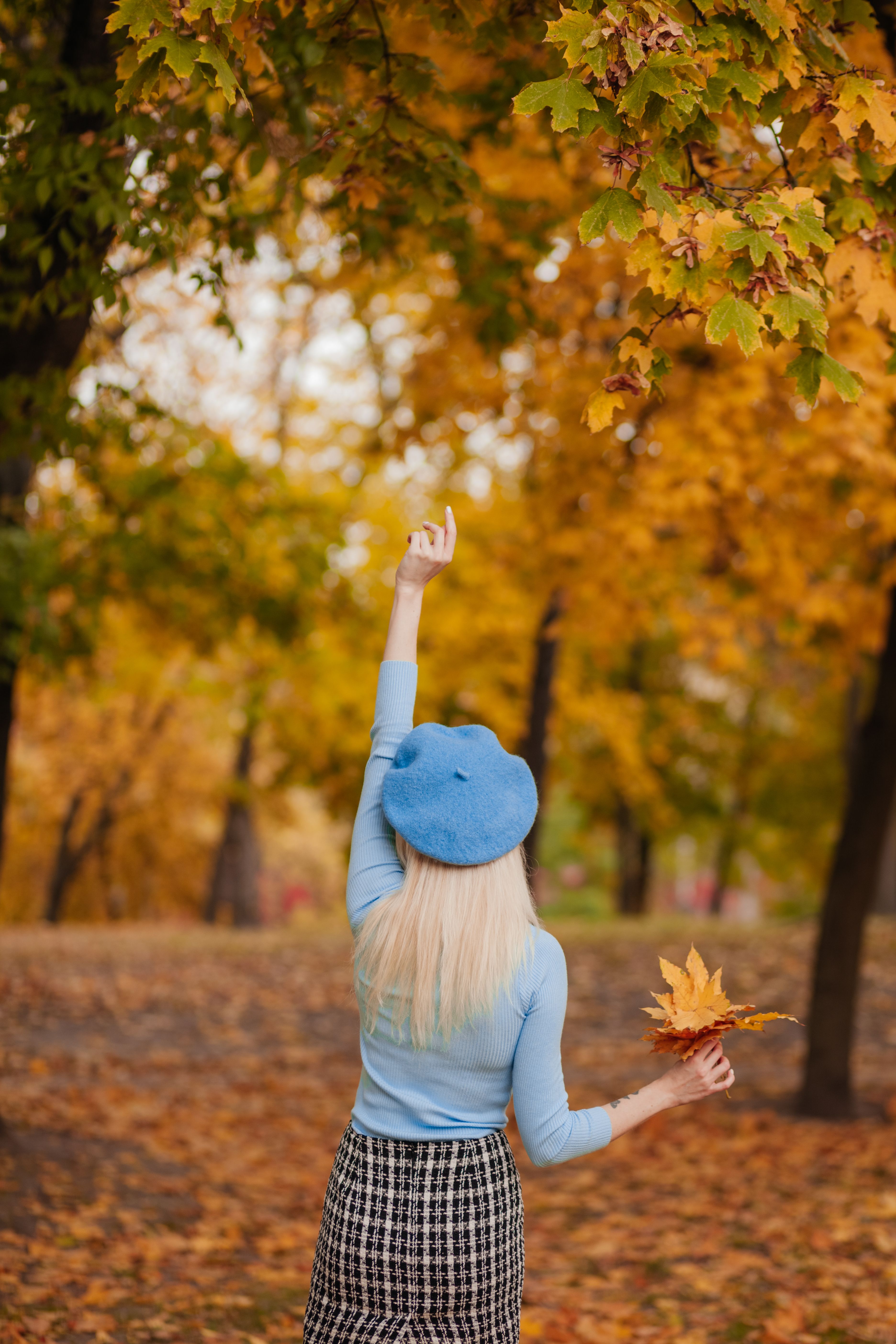 Summer Into Autumn Photos, Download The BEST Free Summer Into Autumn ...