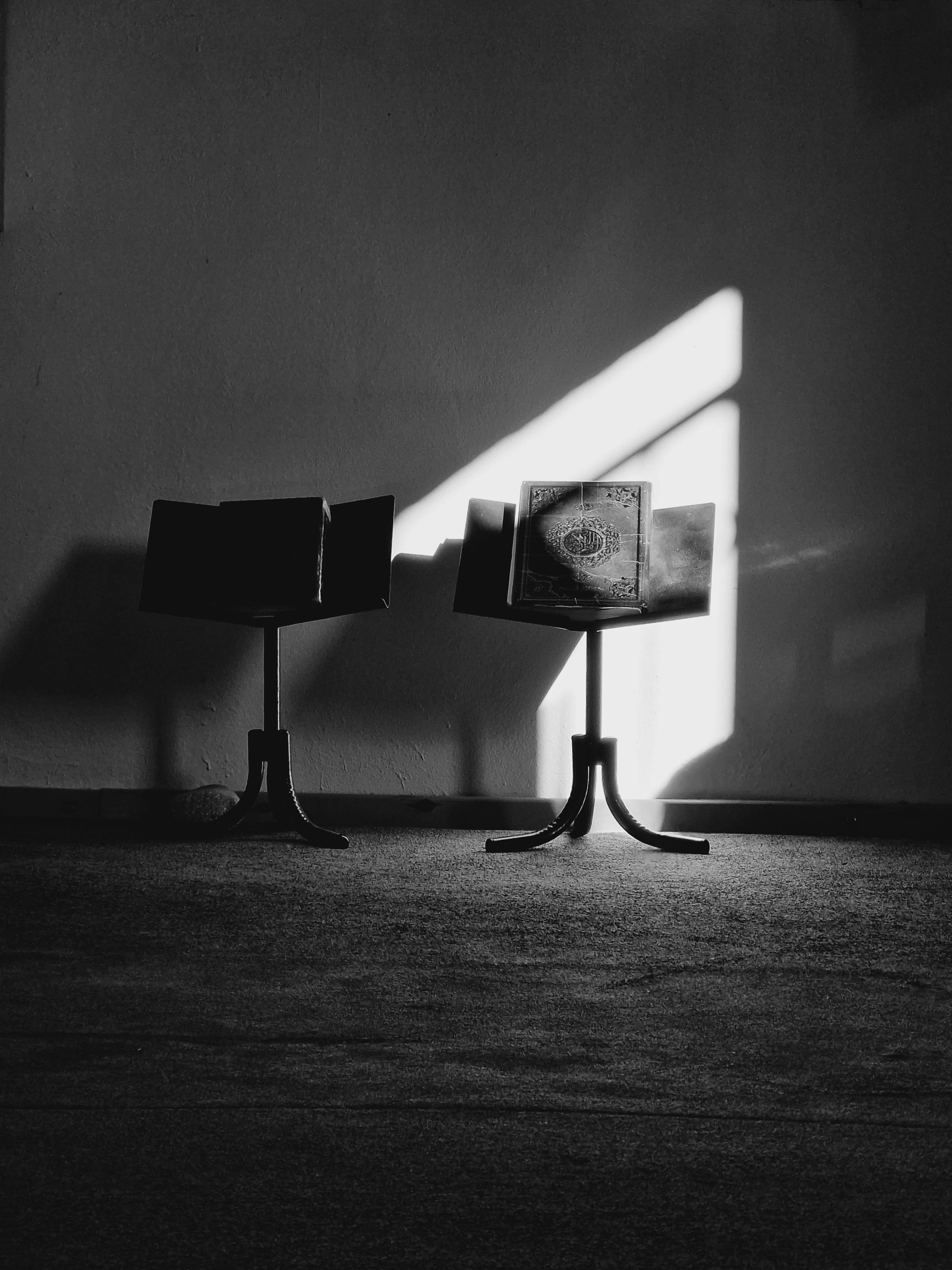 Collo Two Photos, Download The BEST Free Collo Two Stock Photos & HD Images