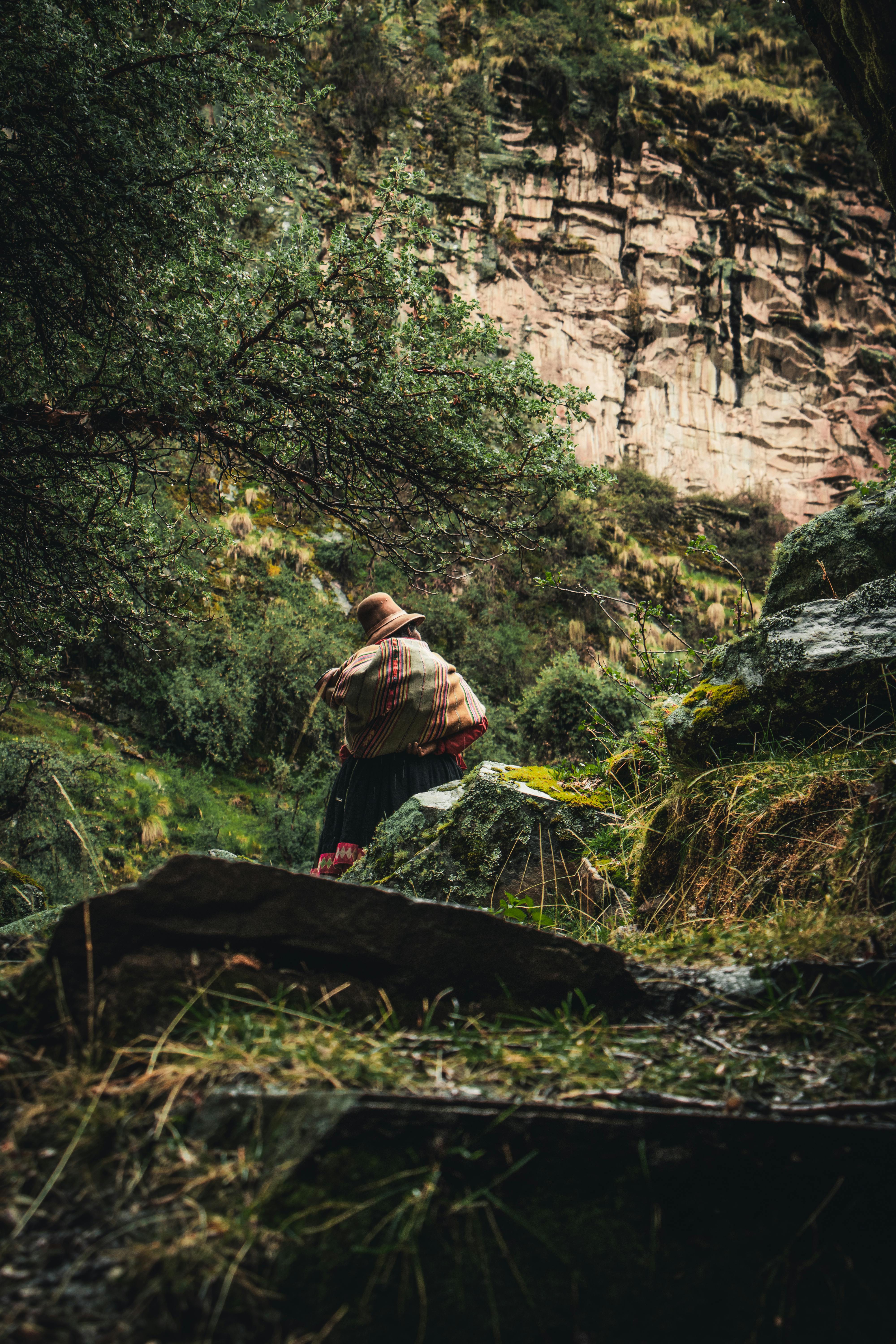 Man in a Forest Covered with Moss · Free Stock Photo