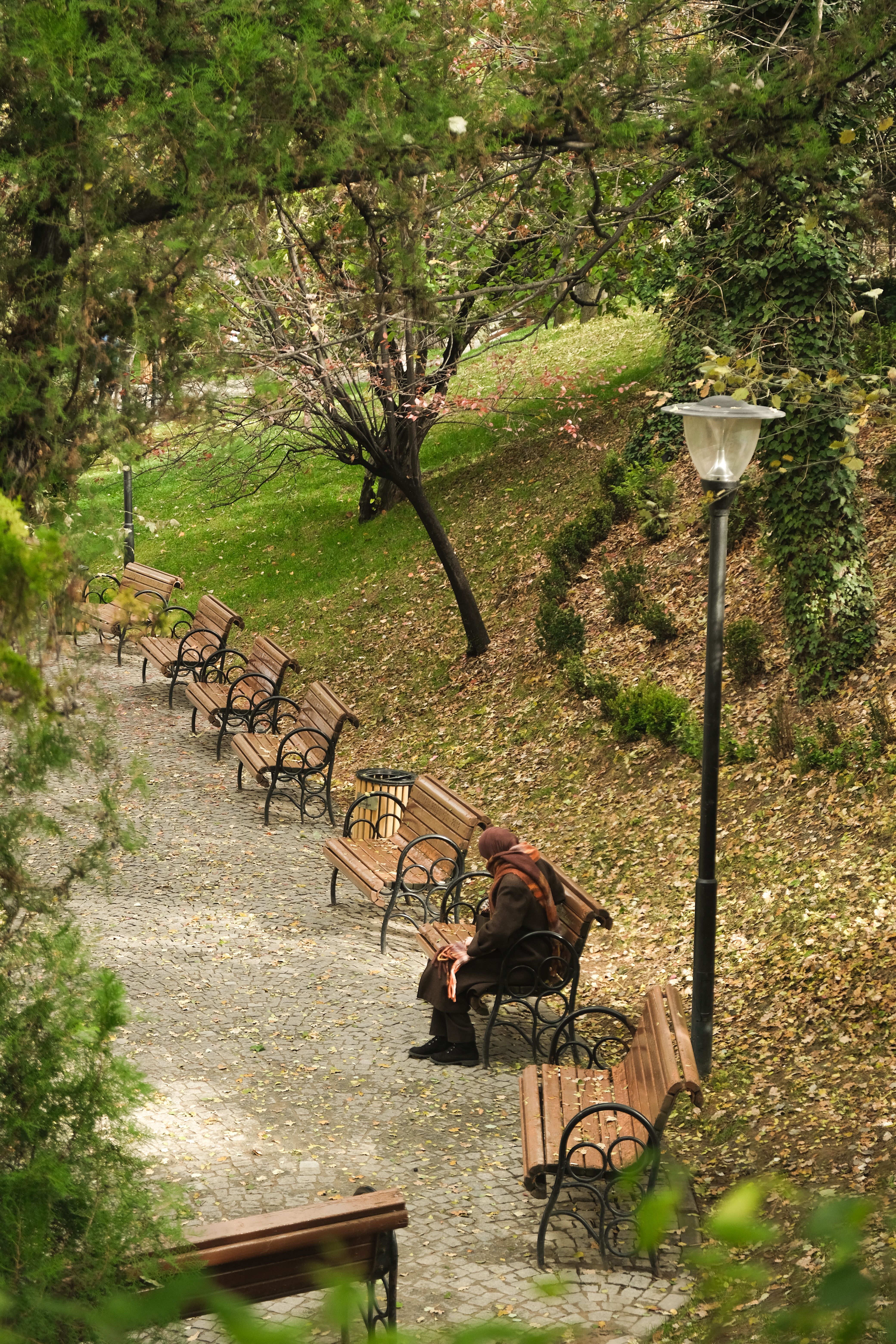 A Person Sitting on a Bench in a Park · Free Stock Photo