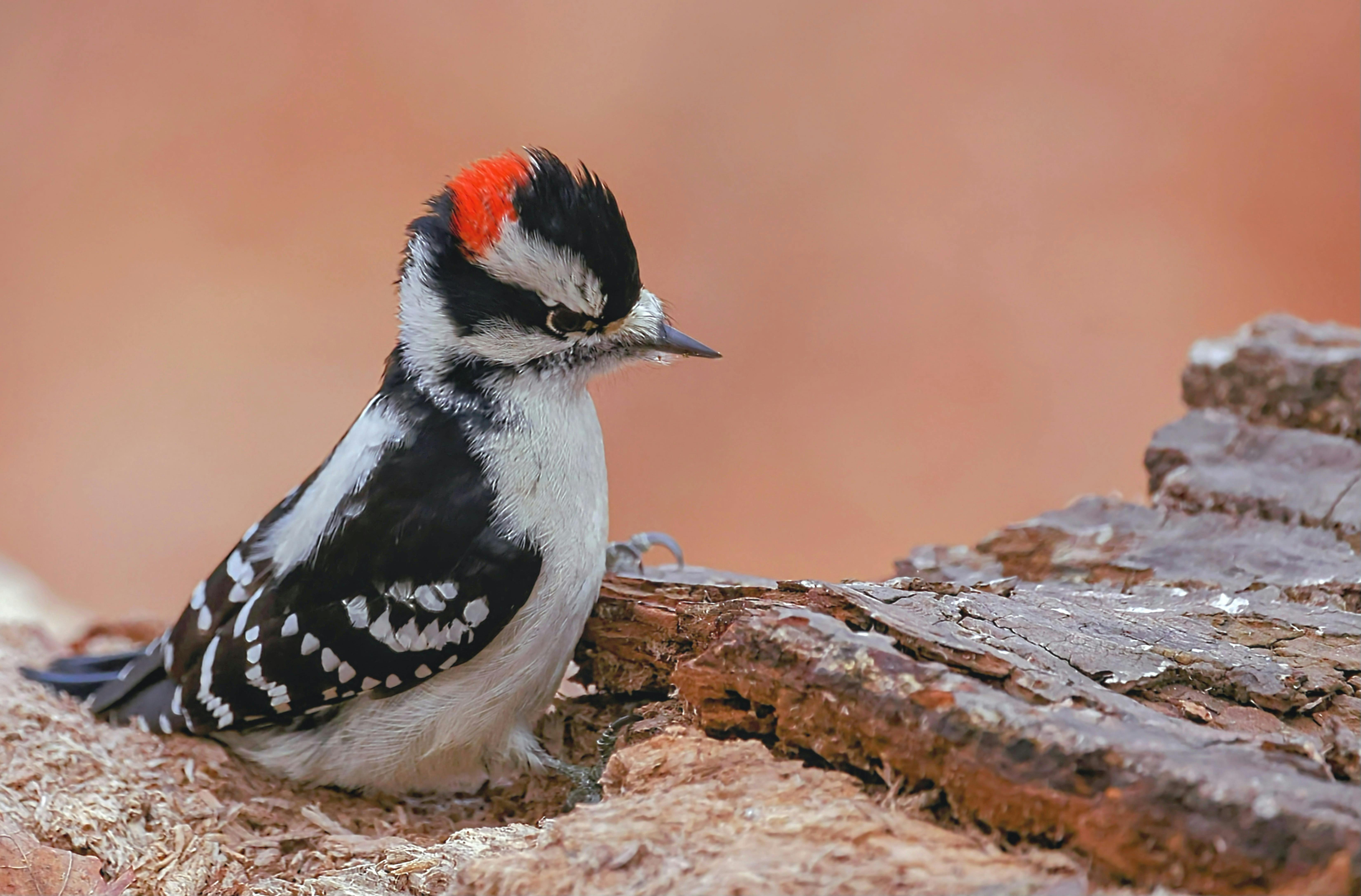 teyi 徐 - Photography