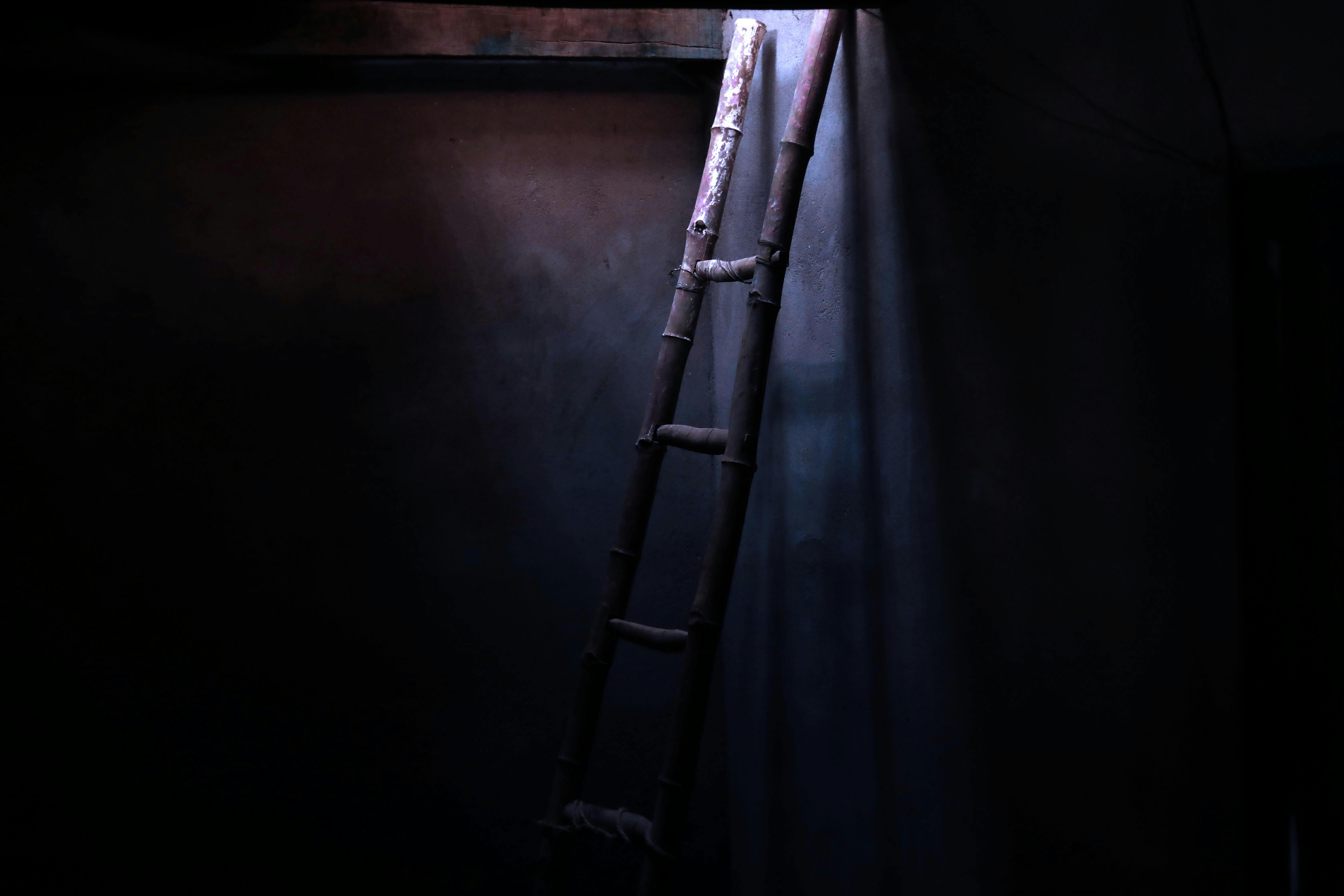 Ladder Photos, Download The BEST Free Ladder Stock Photos & HD Images