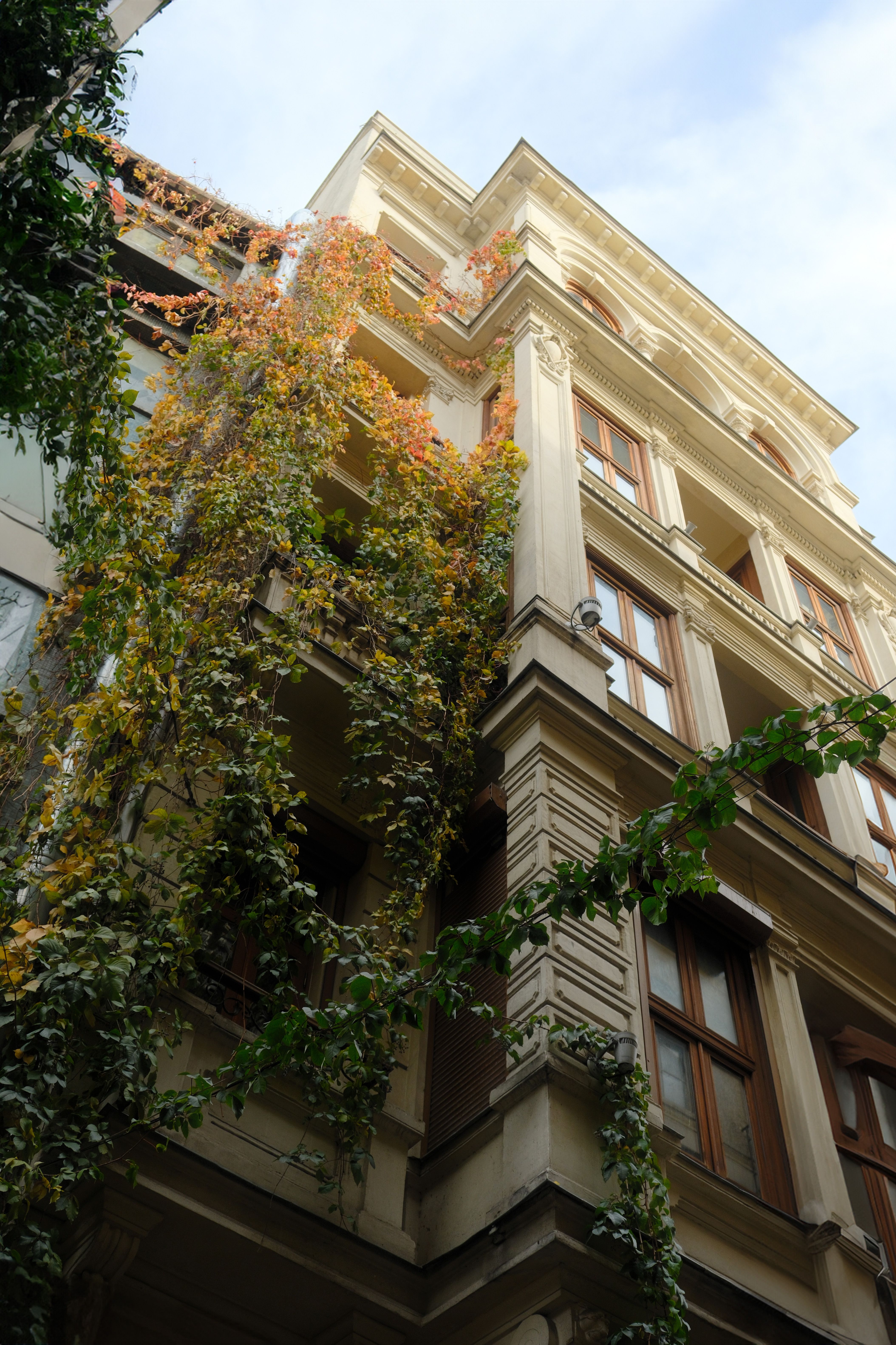 A building with vines growing on it · Free Stock Photo