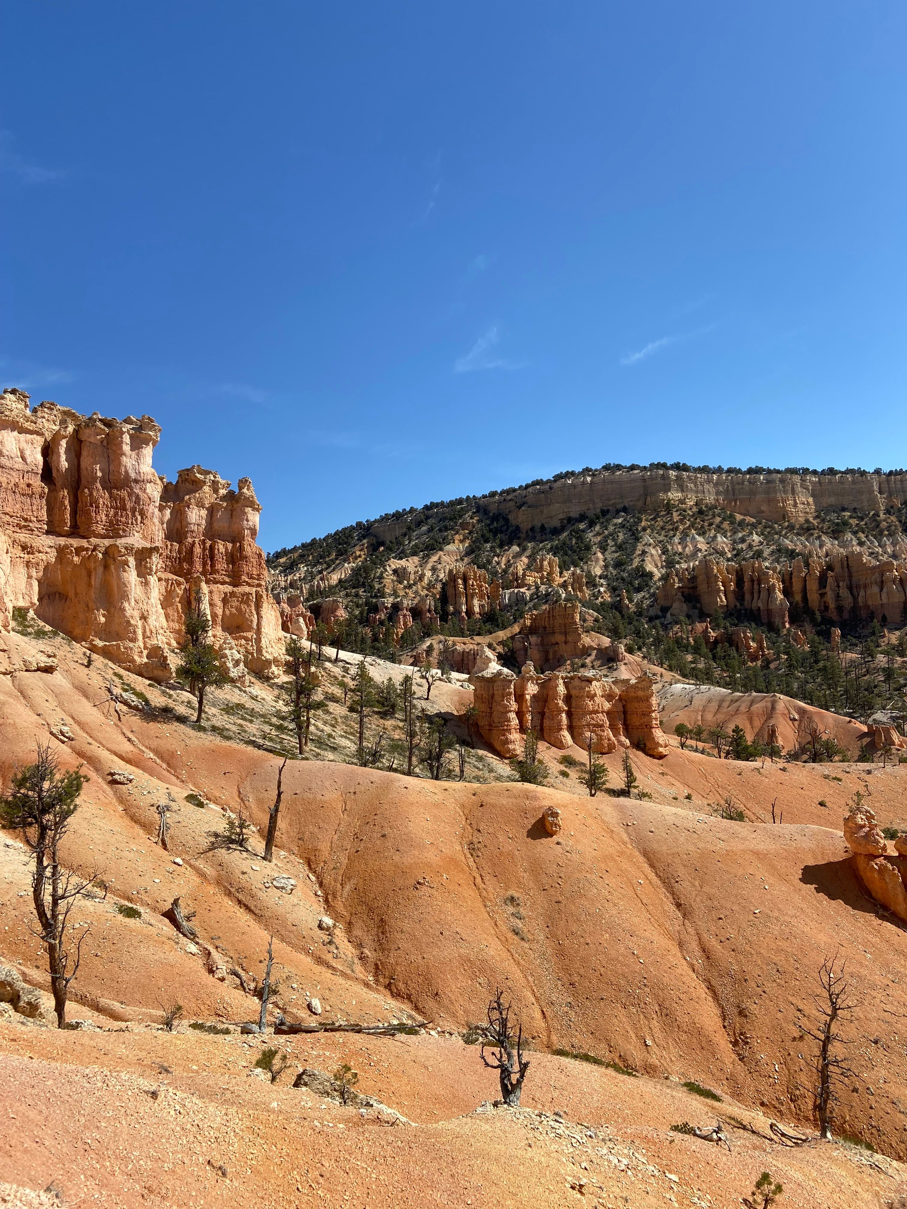 Arid Rock Formations · Free Stock Photo