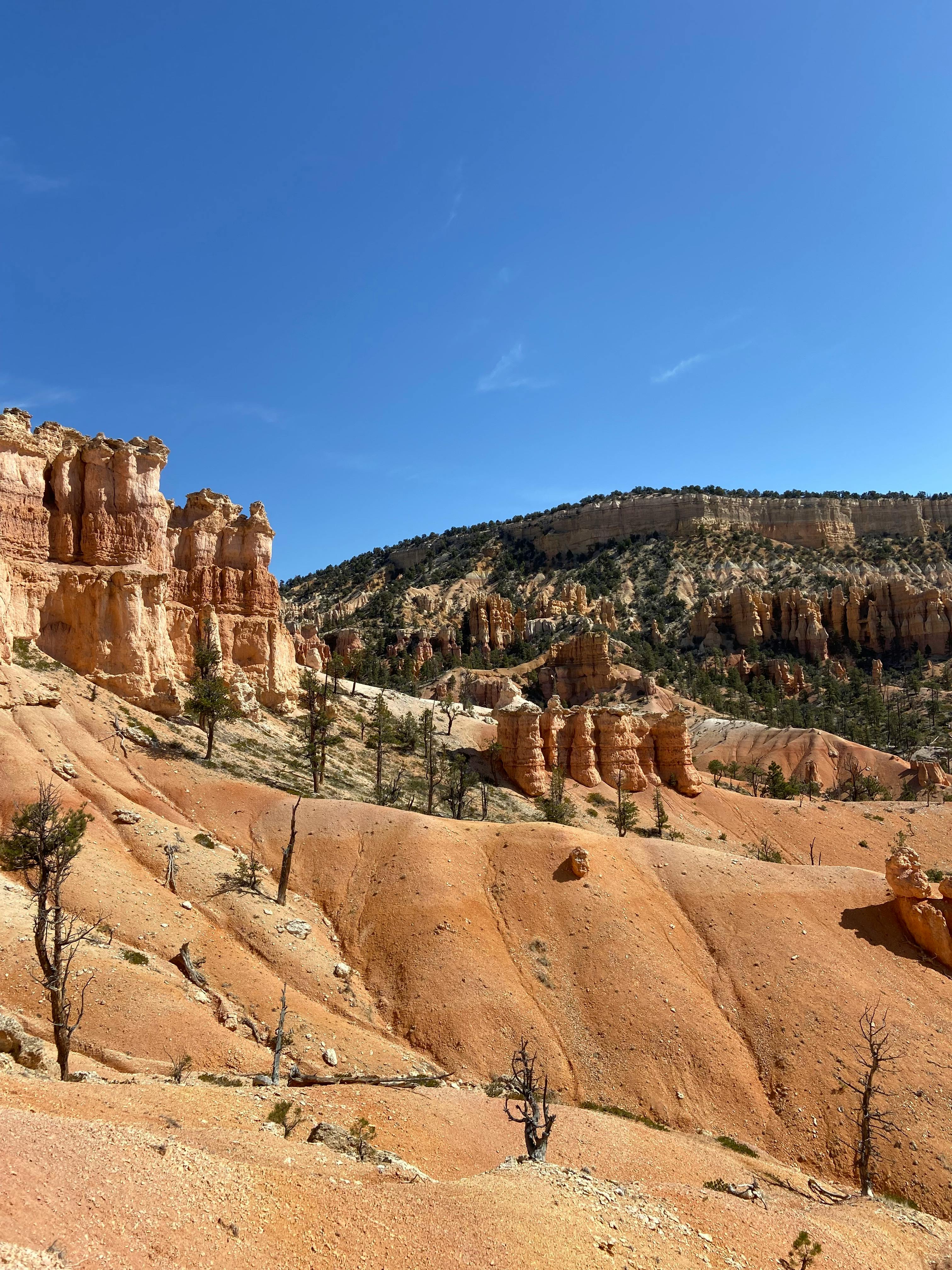Arid Rock Formations · Free Stock Photo