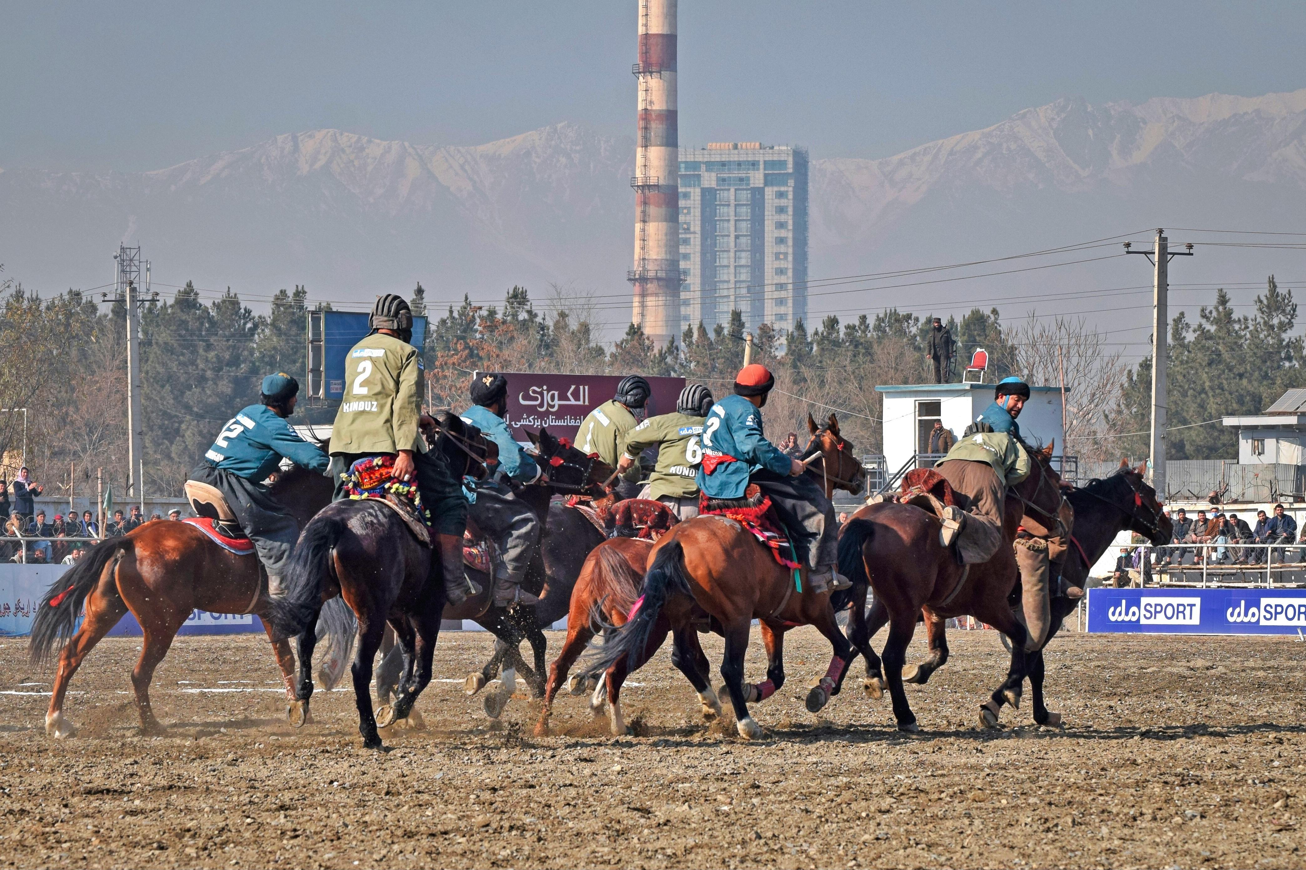 Man Riding a Horse on an Obstacle Course · Free Stock Photo