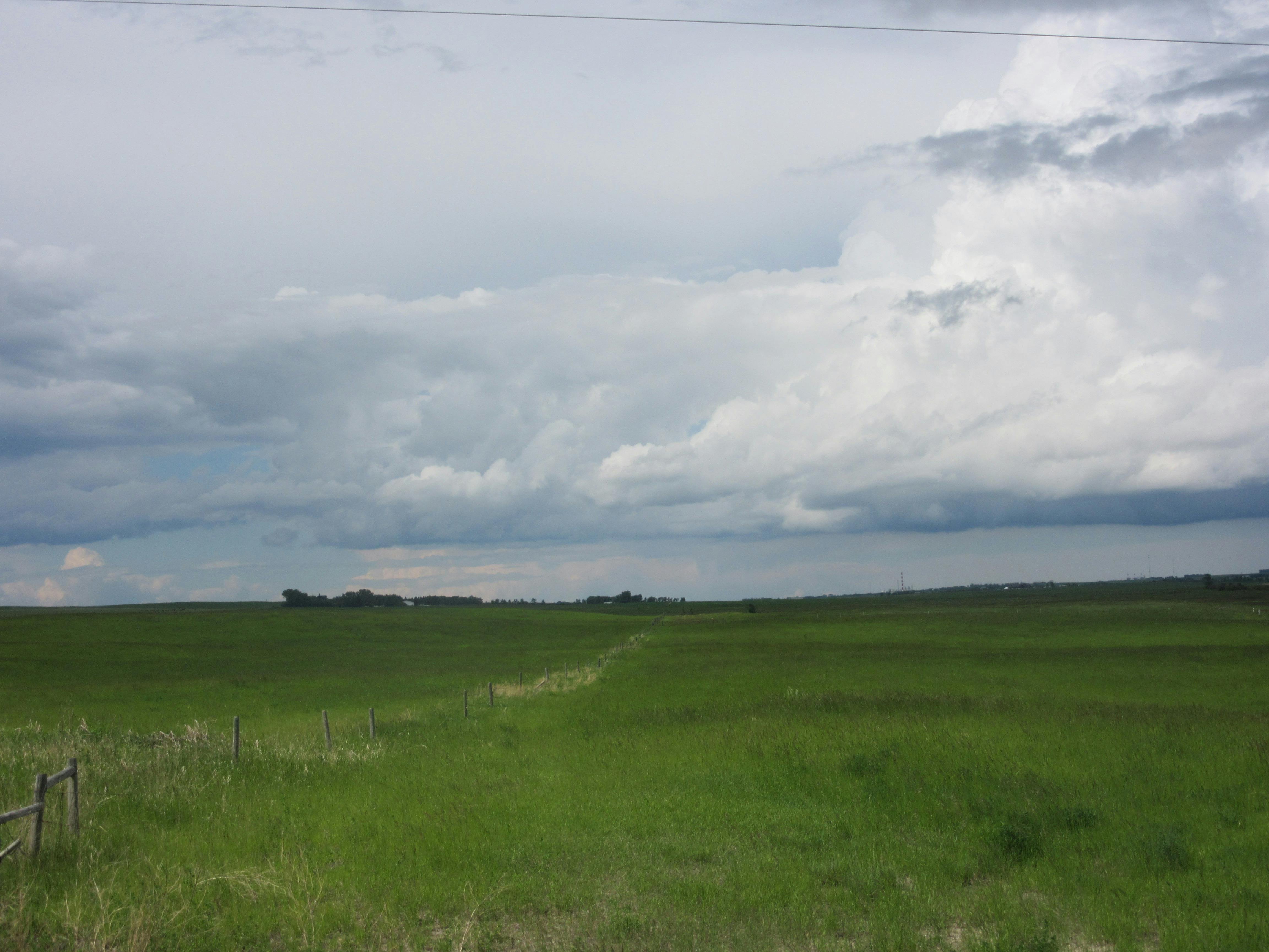 Les Miller - Photography