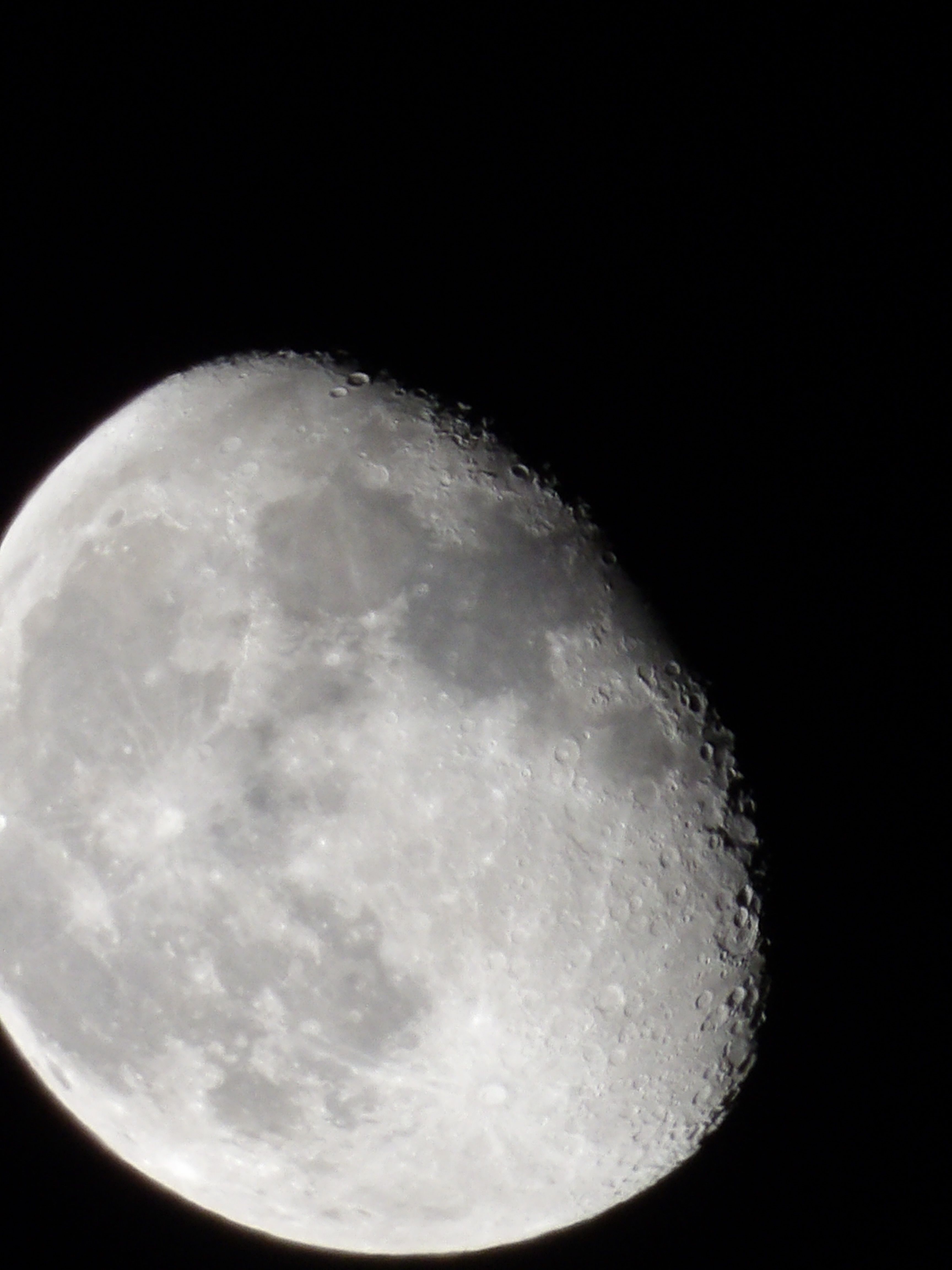 Moon in Black and White · Free Stock Photo
