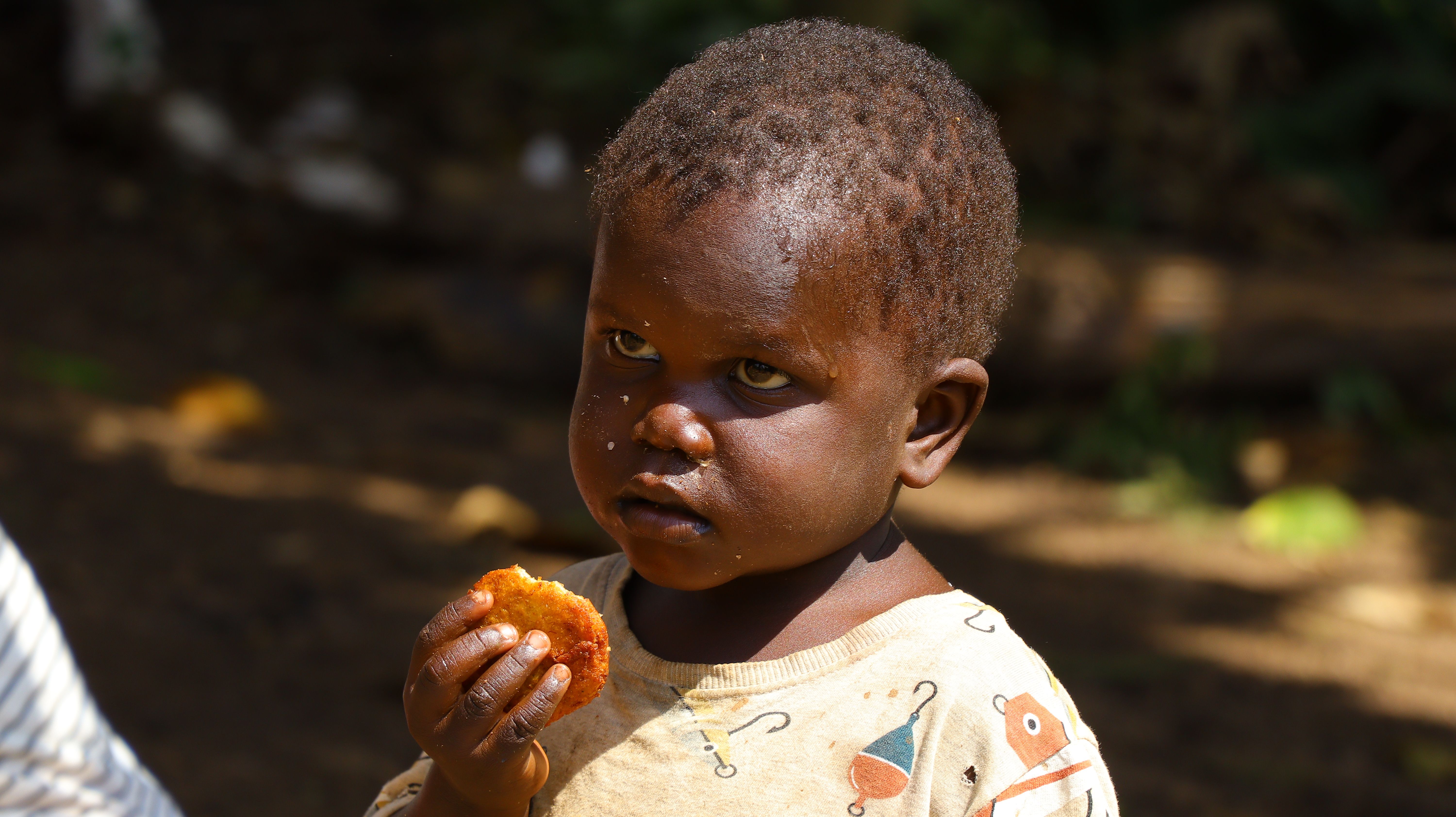 Boy Holding Food · Free Stock Photo