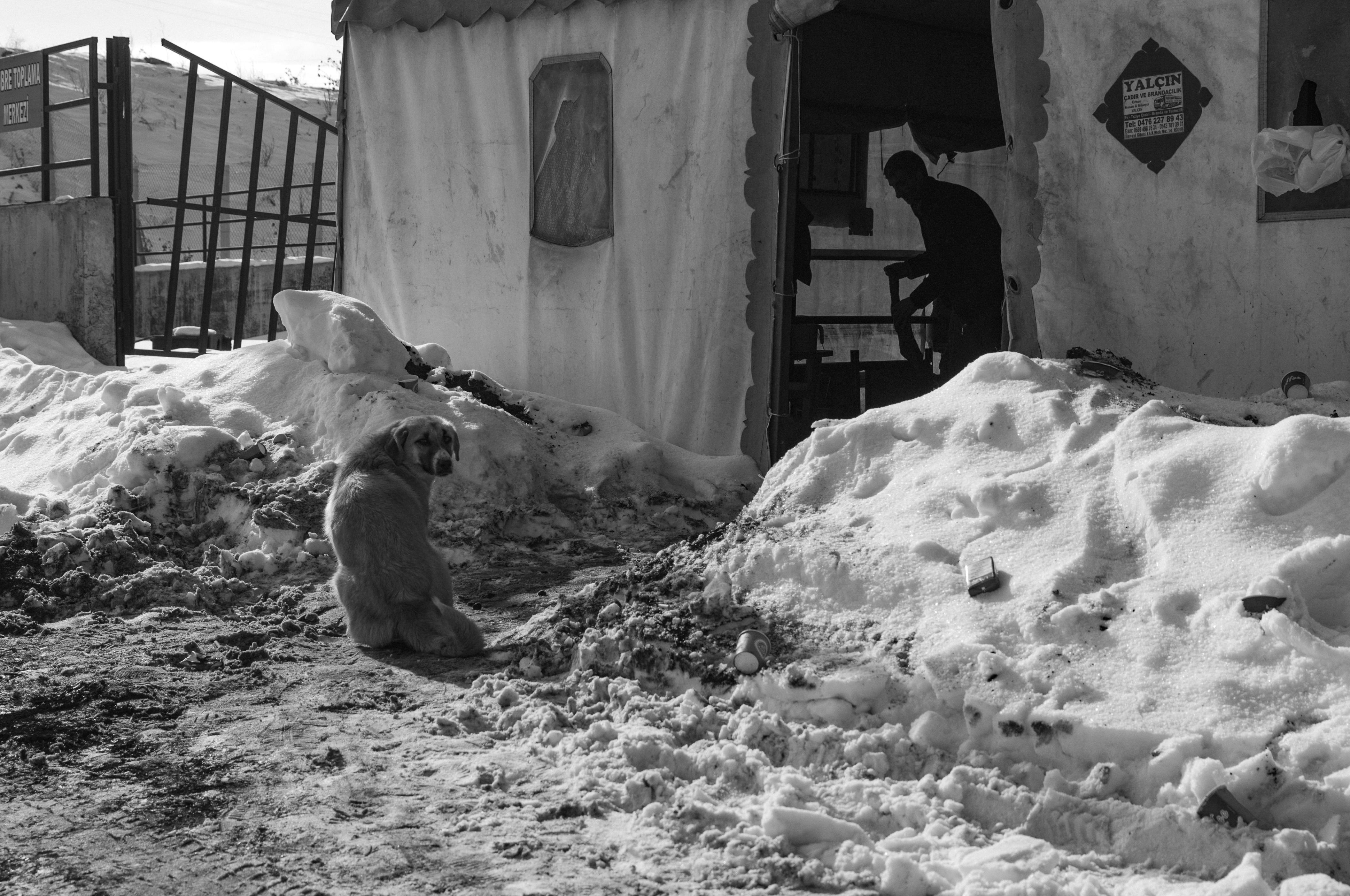 Right Path Photos, Download The BEST Free Right Path Stock Photos & HD ...