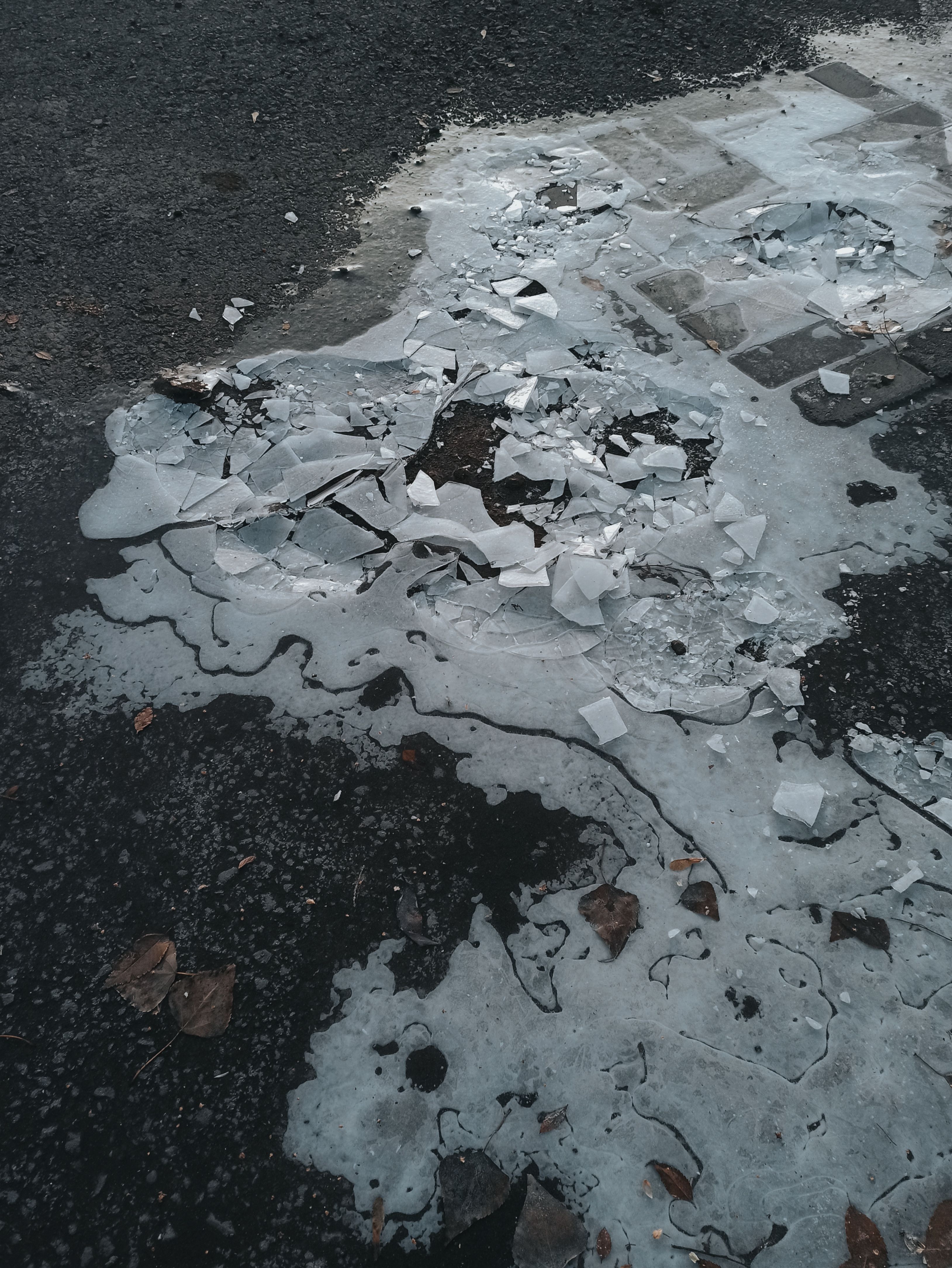 Shattered Ice of a Frozen Puddle on the Street · Free Stock Photo