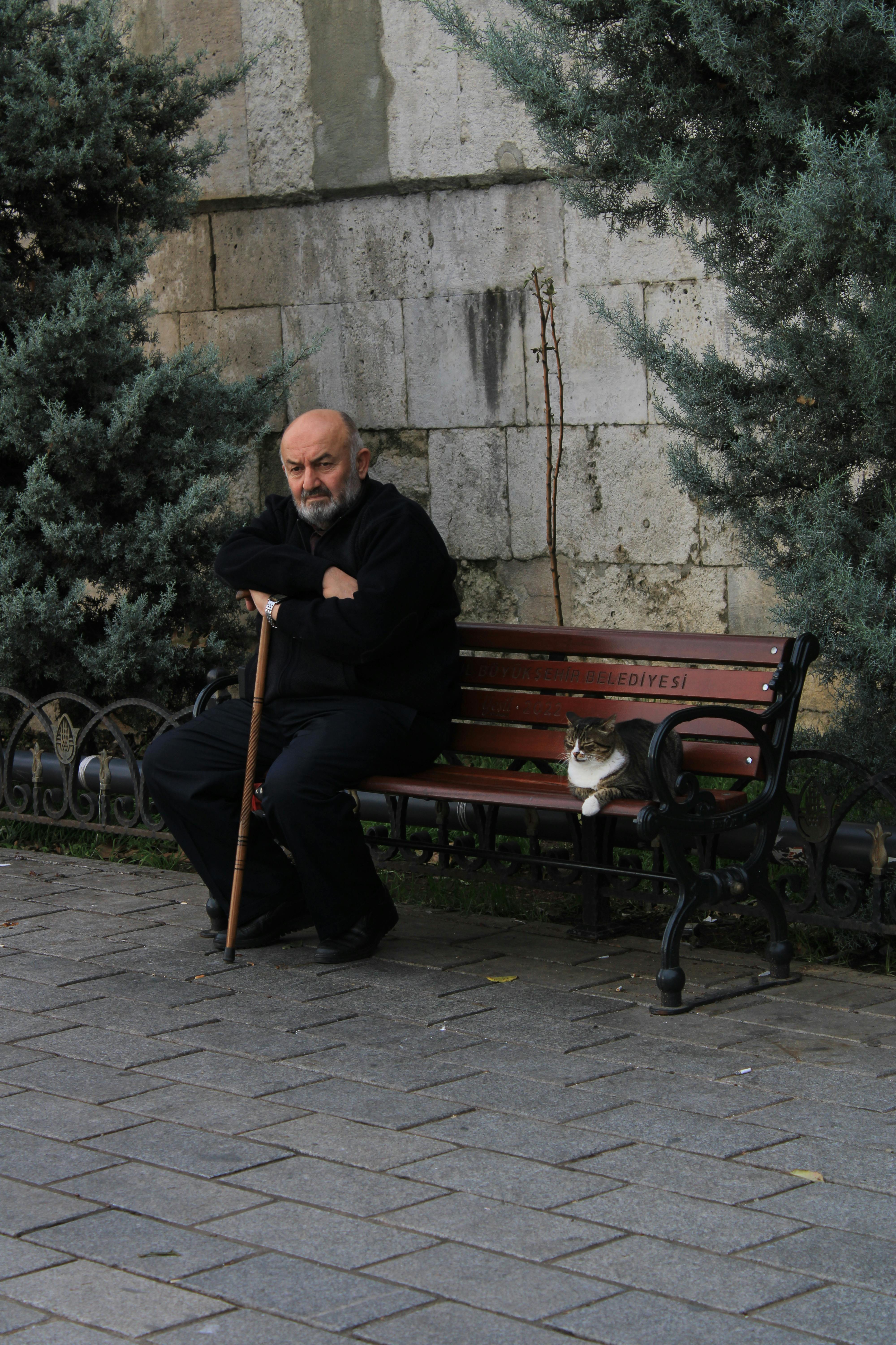 Cat Cane Photos, Download The BEST Free Cat Cane Stock Photos & HD Images