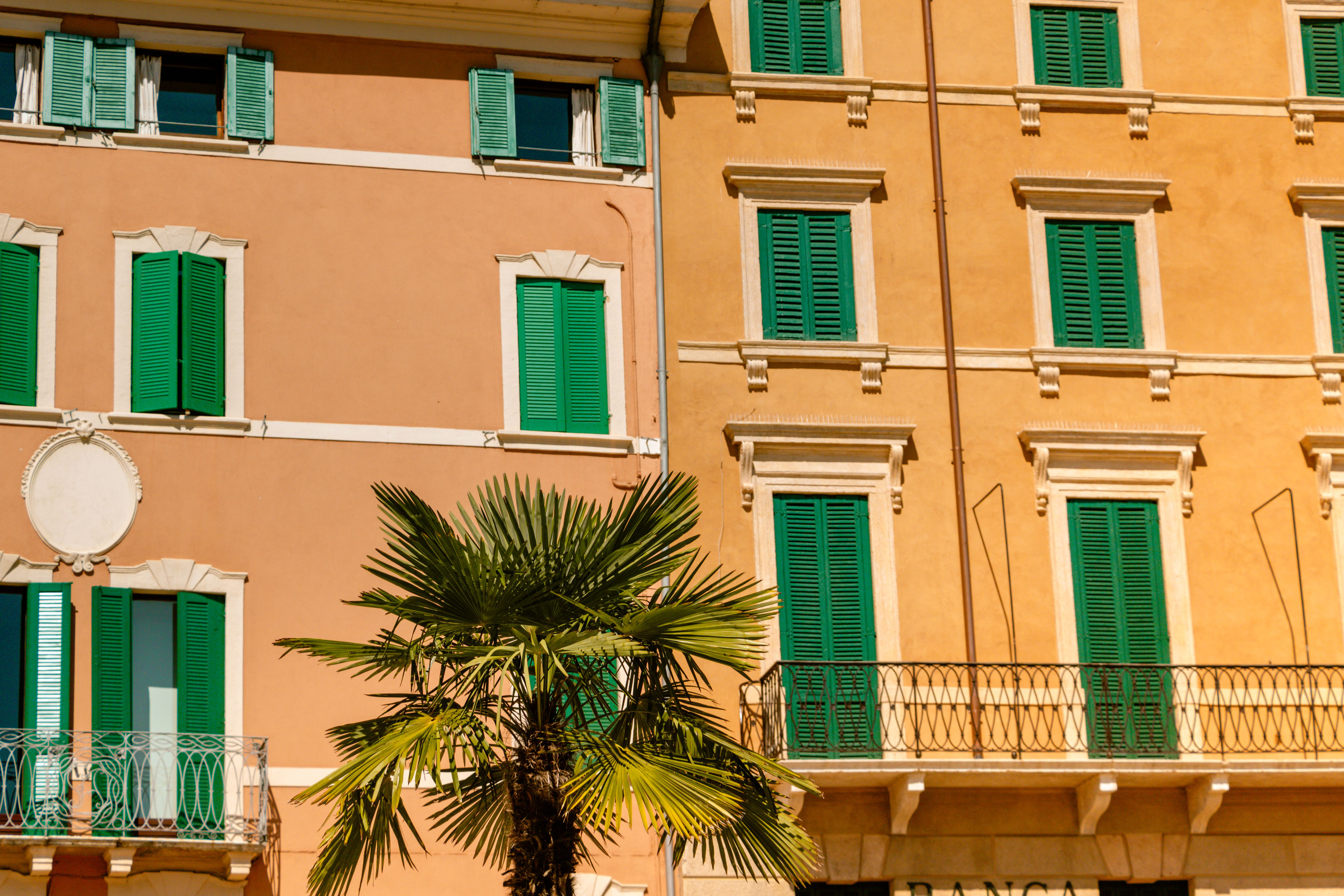 Palm Tree next to a Blocky Concrete Building · Free Stock Photo