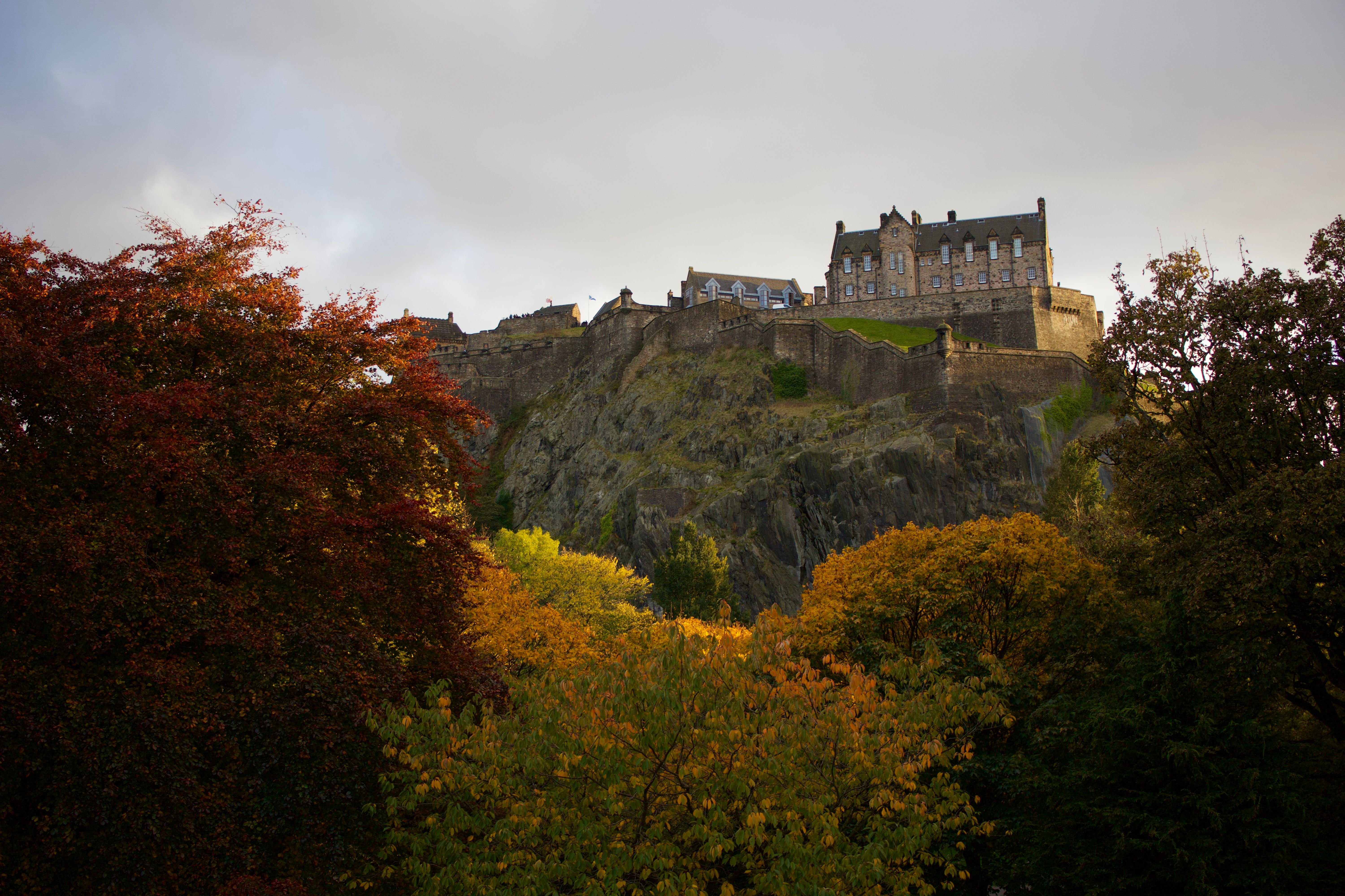 Castle on Rock, Between Trees · Free Stock Photo