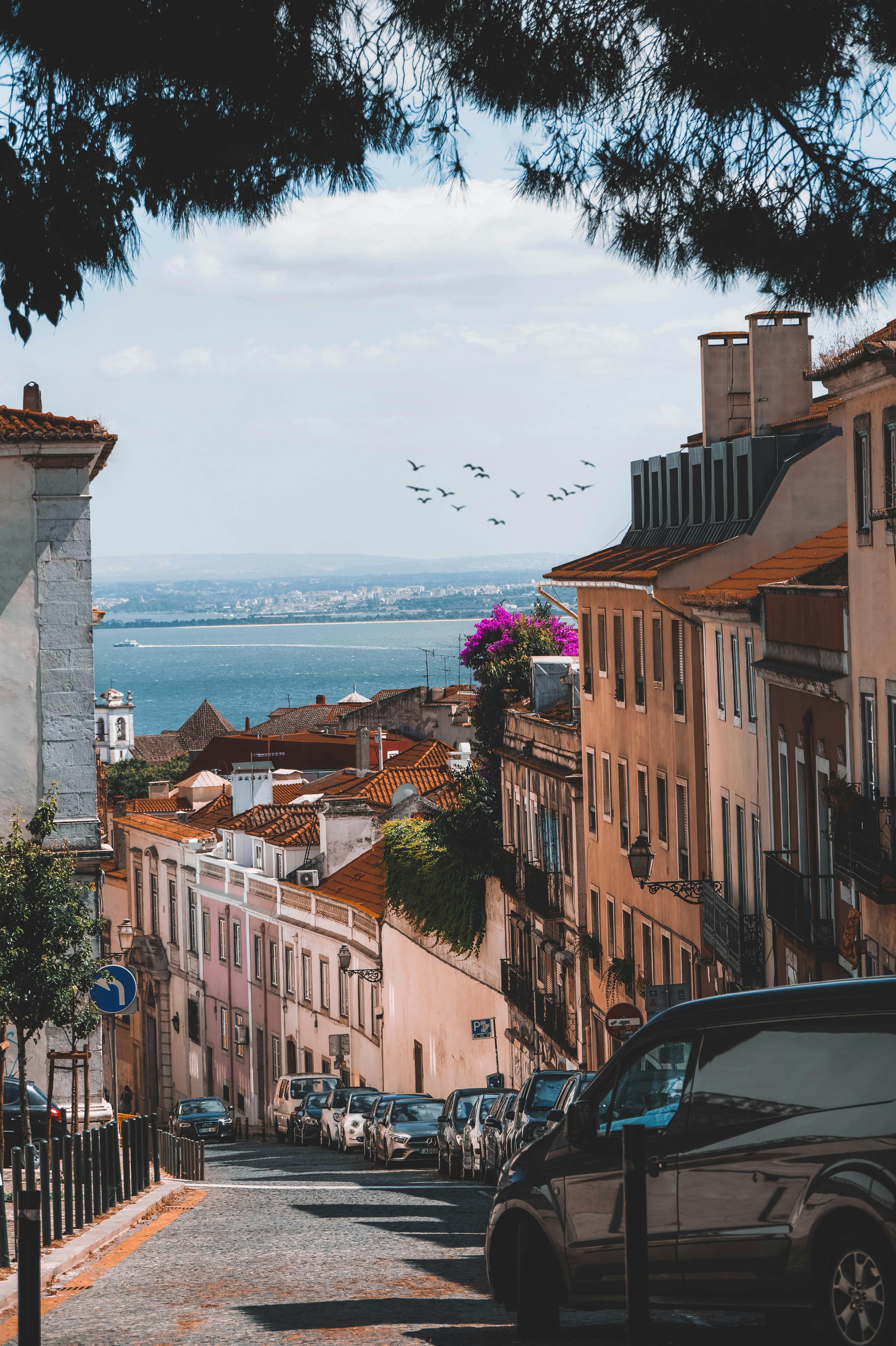 Street in City on Sea Coast · Free Stock Photo