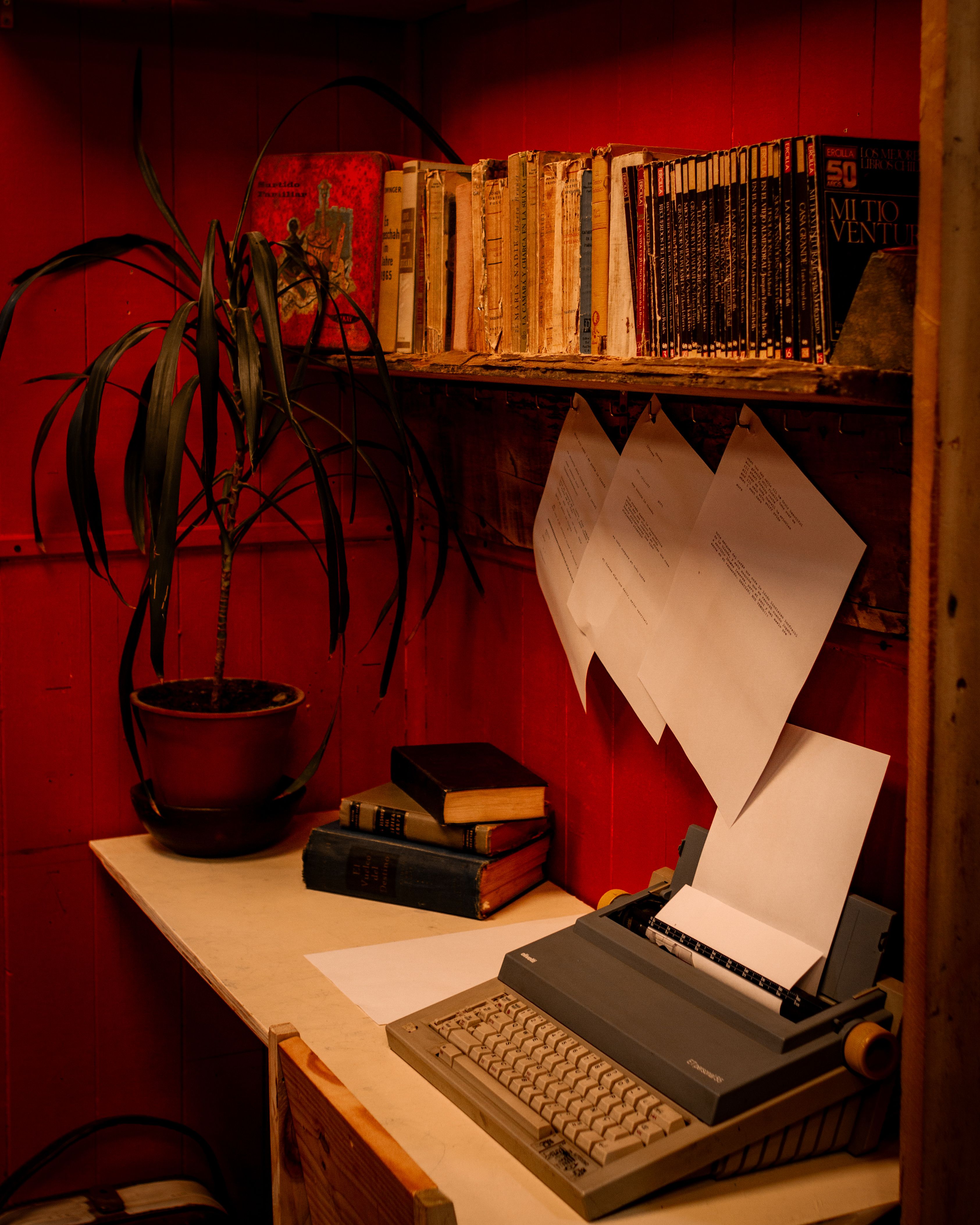Foto de stock gratuita sobre escribiendo, estante con libros ...