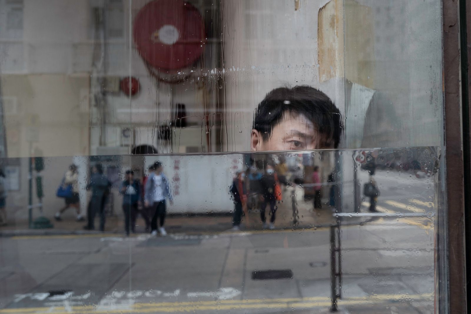 Looking Through Window Photos, Download The BEST Free Looking Through ...