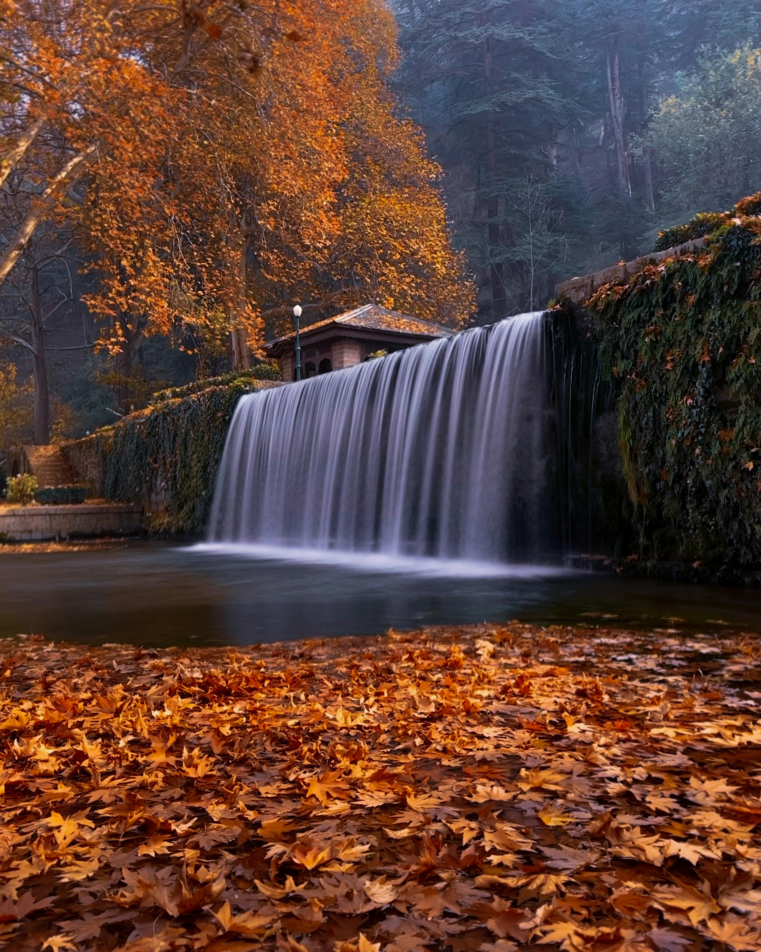 Waterfall in Achabal Garden in India in Autumn · Free Stock Photo