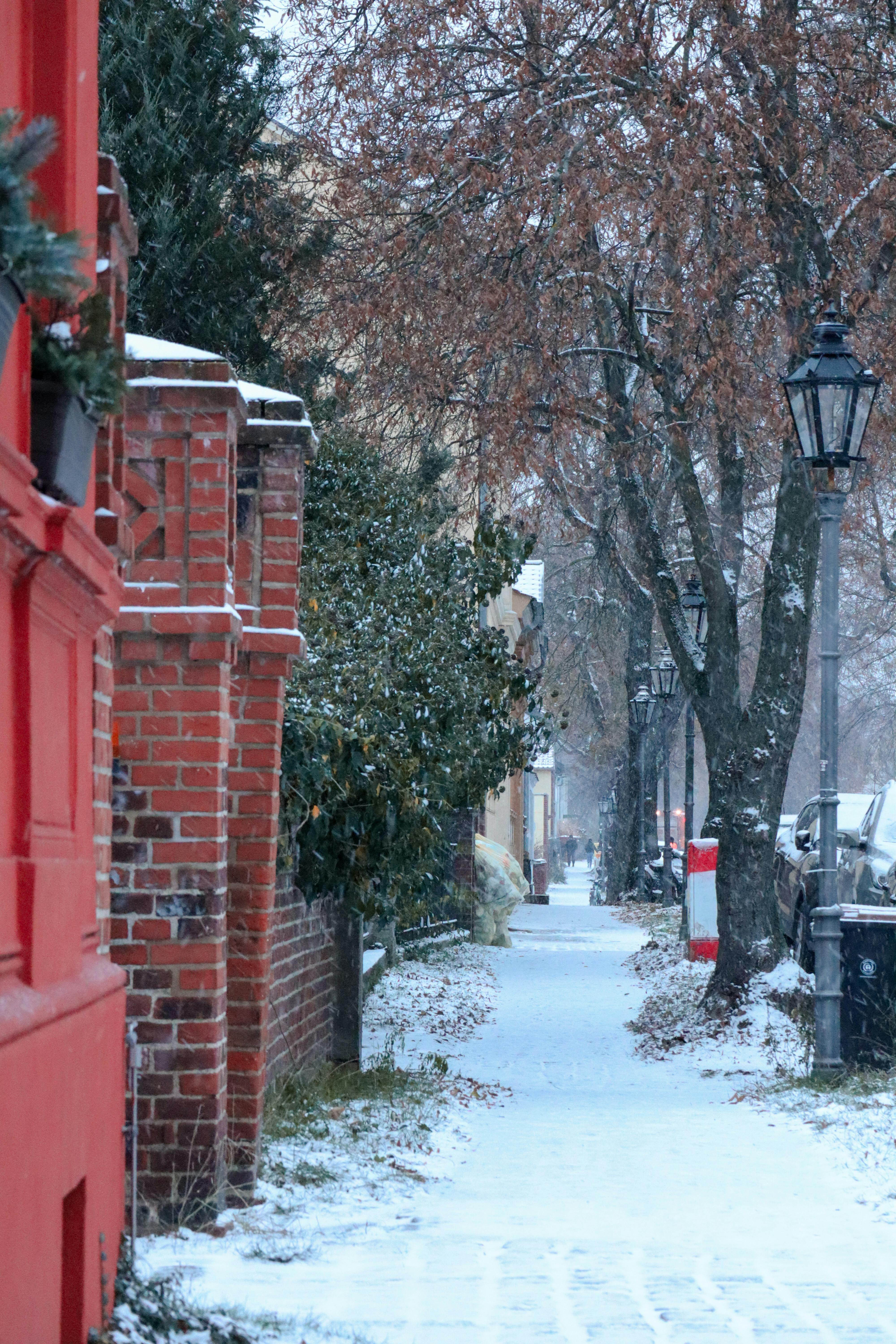 Snow on Sidewalk Along Street in Berlin, Germany · Free Stock Photo